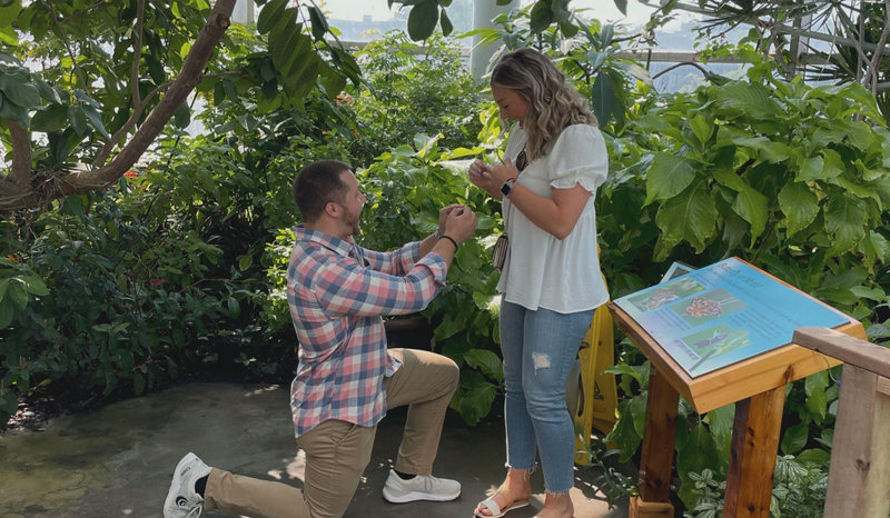Hannah Cosby and Michael Spurling's Wedding Website