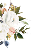Marcus Sydnor And Sally Wice s Wedding Website