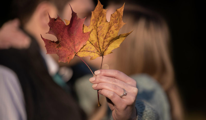 Lauren Stebelton and Jason Mauro's Wedding Website