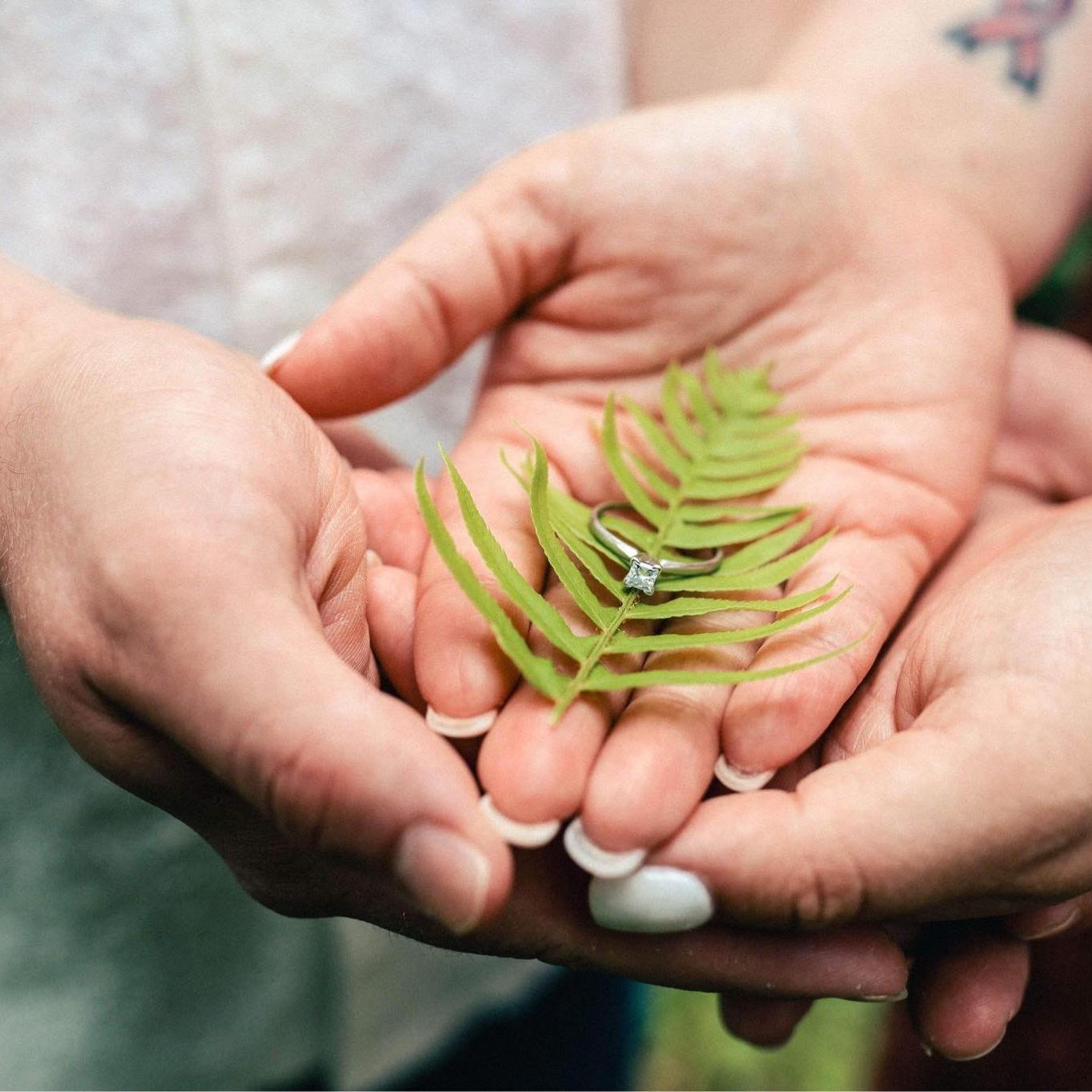 Haylie Black and Gavin Bettelyoun's Wedding Website