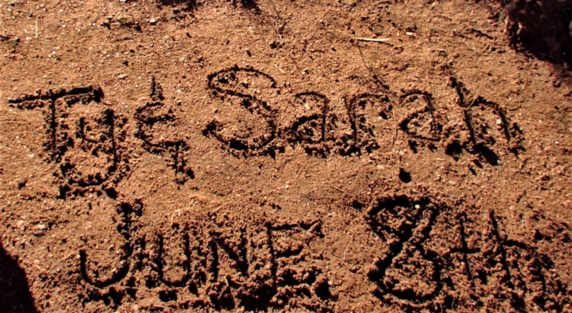 Sarah Schultz and Tyler Sumpter's Wedding Website