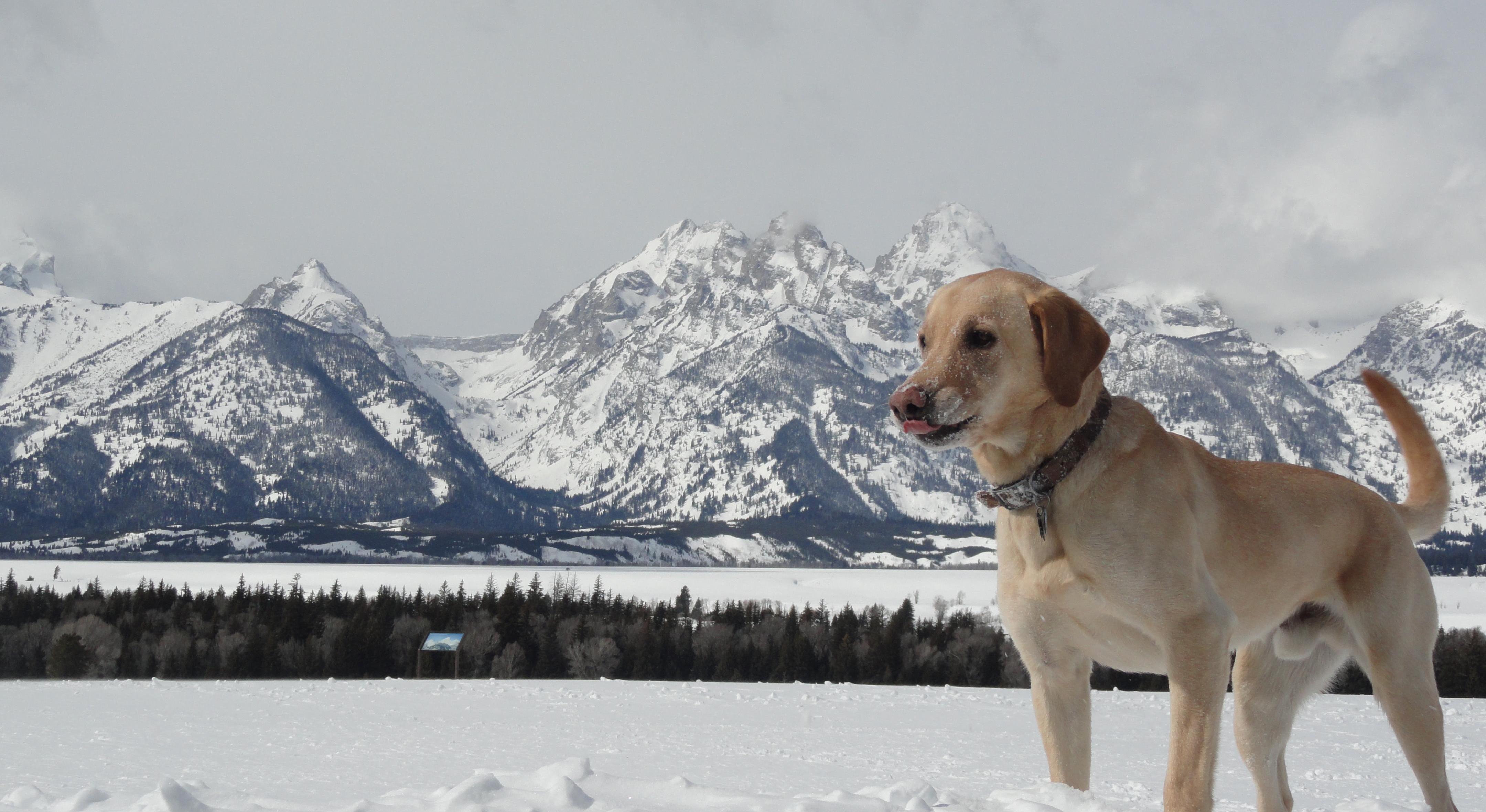 Sarah Wahab and Jeremiah Green's Wedding Website