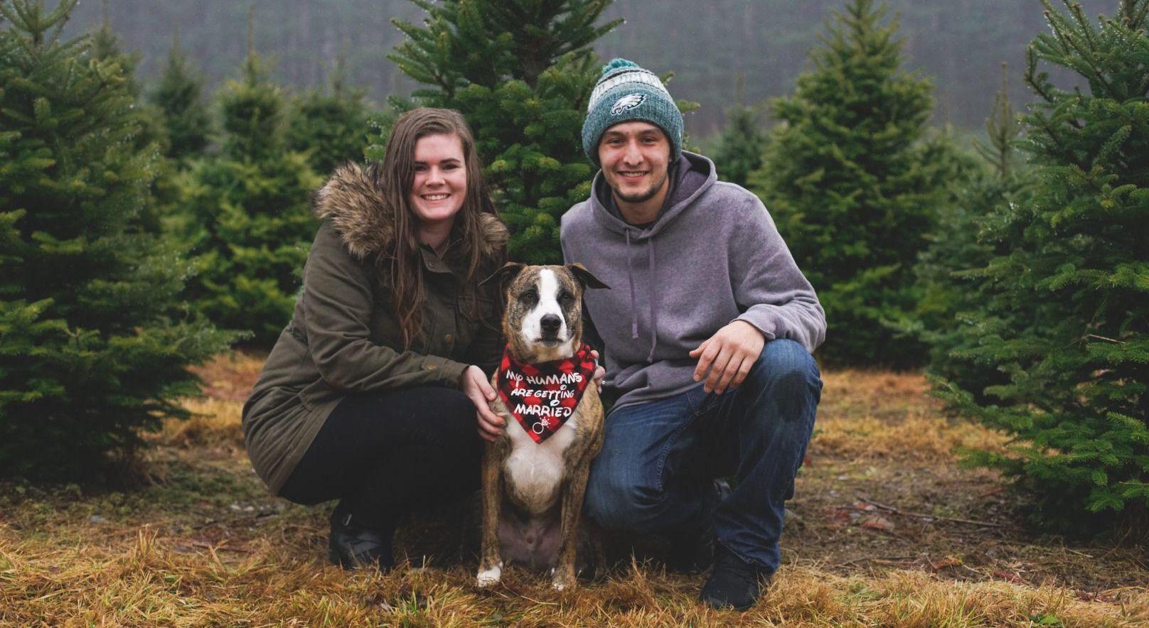 Erin Graham and Michael Choy's Wedding Website