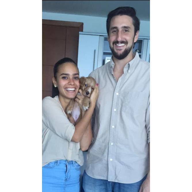 Andrew Platt and Daniela Rodriguez Correa's Wedding Website