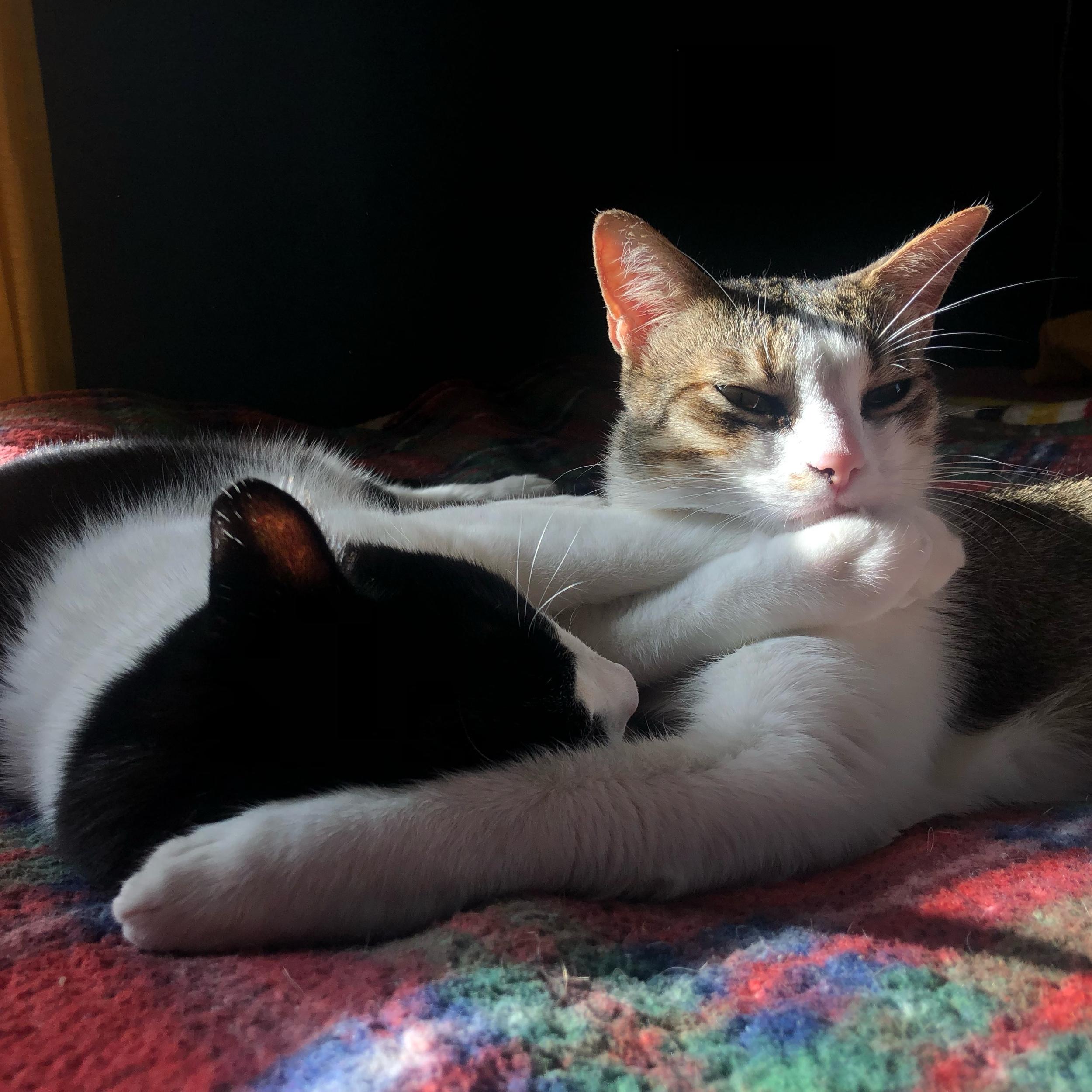 Colleen Bruce and Sean Meredith's Wedding Registry on Zola