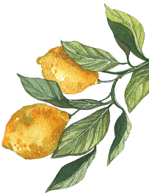 Carolyn Figuereo and Daniel Rojek's Wedding Website