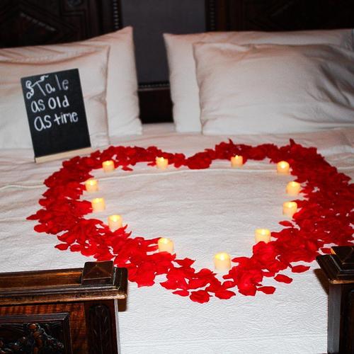 Perdale L Johnson and Joshua P Rushton's Wedding Website