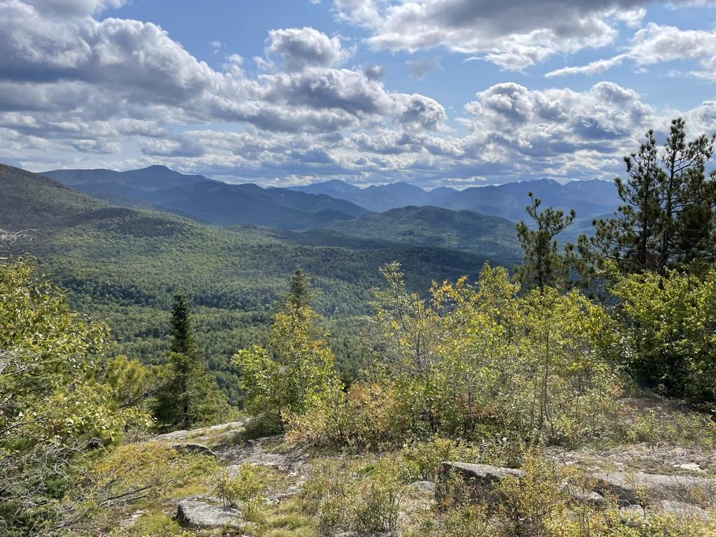 Jess Krause and Will DeMuth's Wedding Website