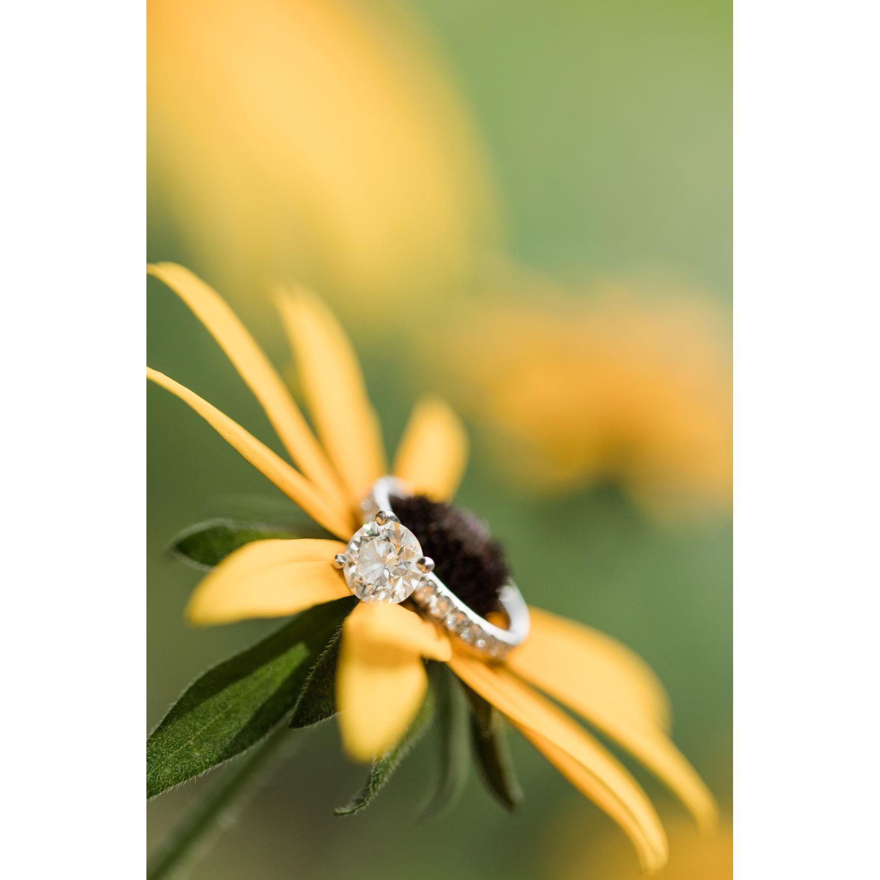 Meagan Perrotta and PJ Cunningham's Wedding Website