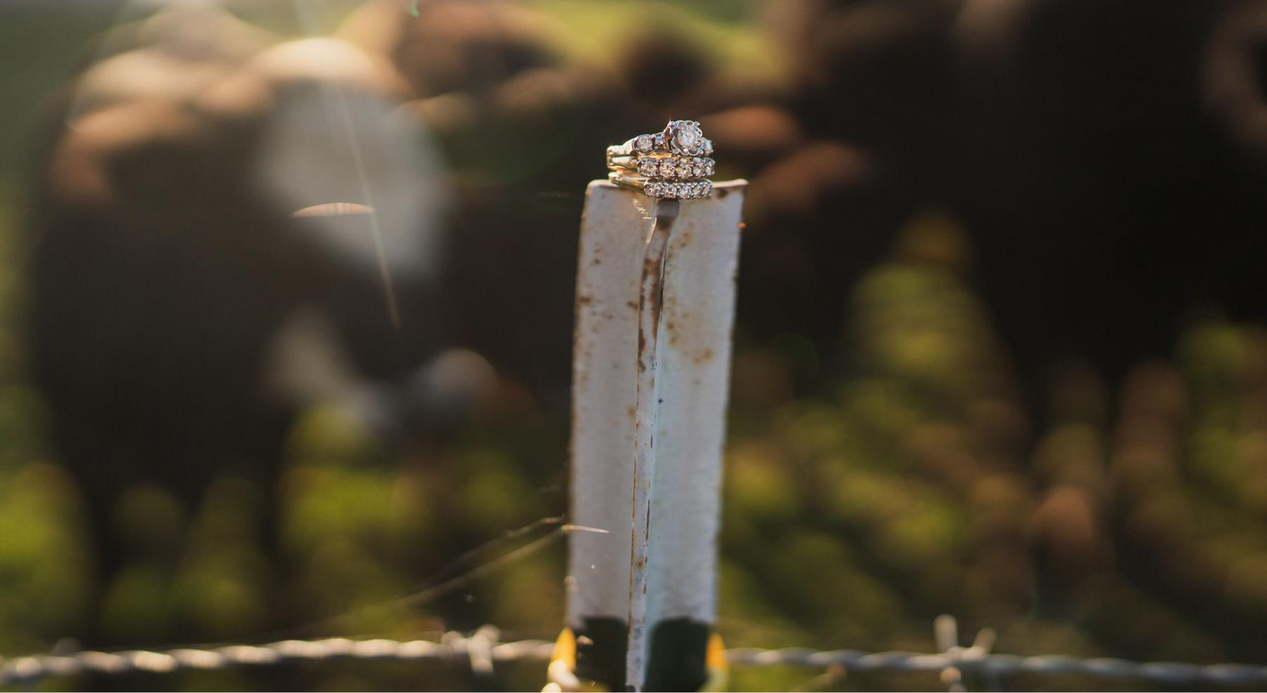 Kylie Weant and Tyler Marshall's Wedding Website