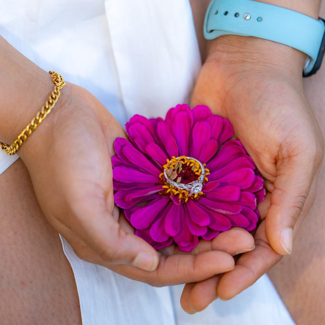 Elizabeth Minoso and Albert Houser's Wedding Website