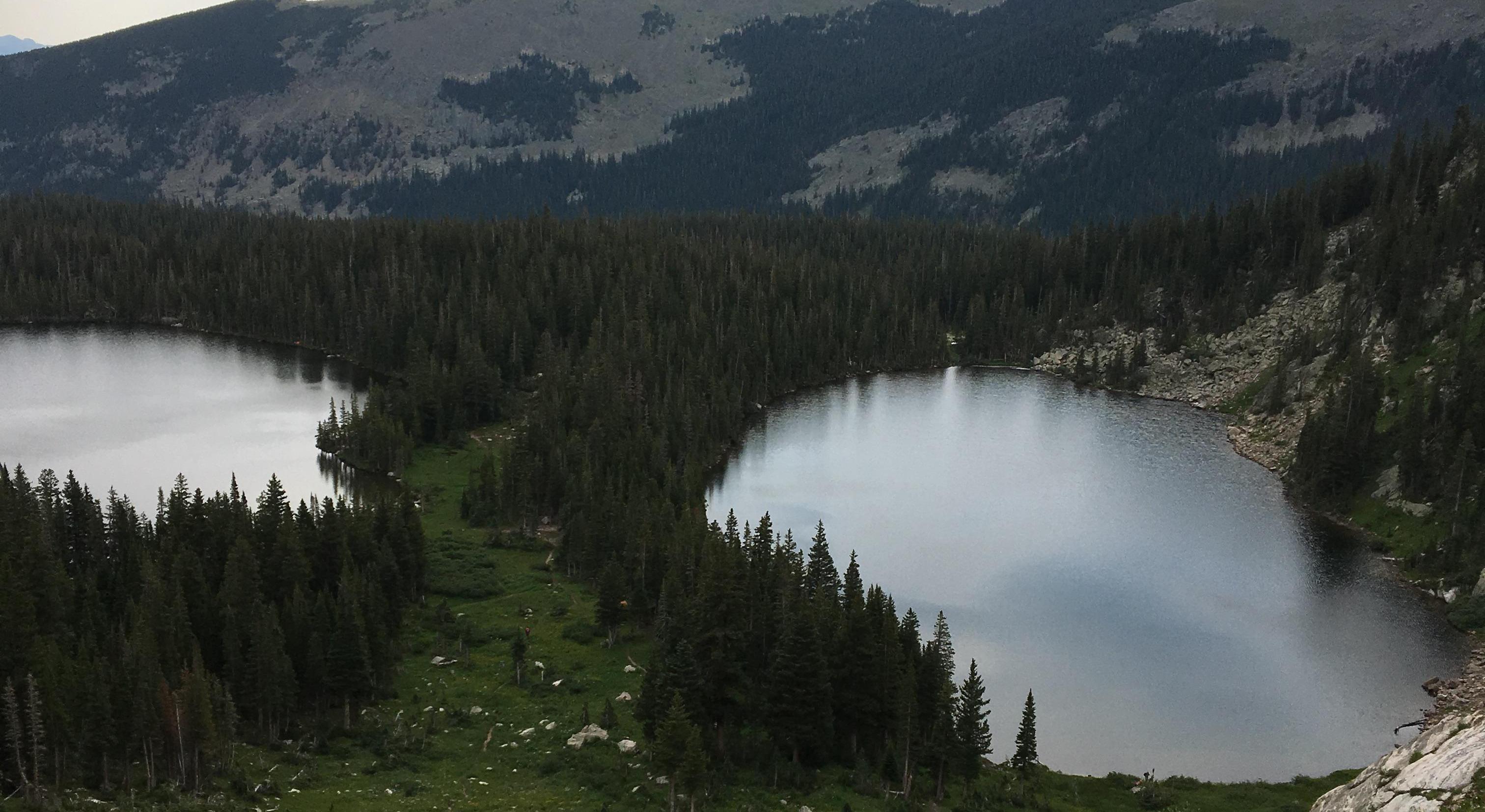 Rachel Durkan and Jason Cappiello's Wedding Website