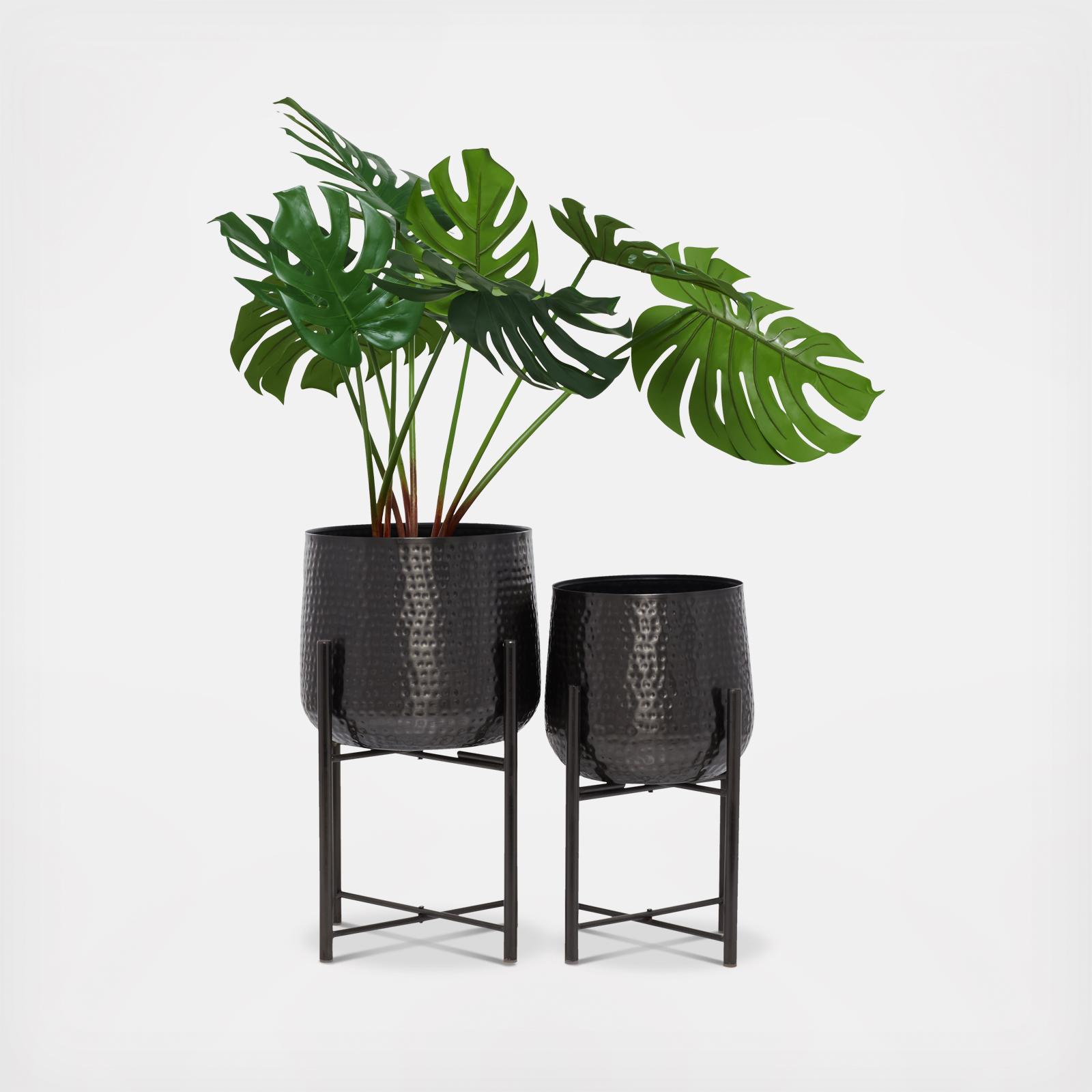CosmoLiving by Cosmopolitan, 2-Piece Transitional Planter Set | Zola