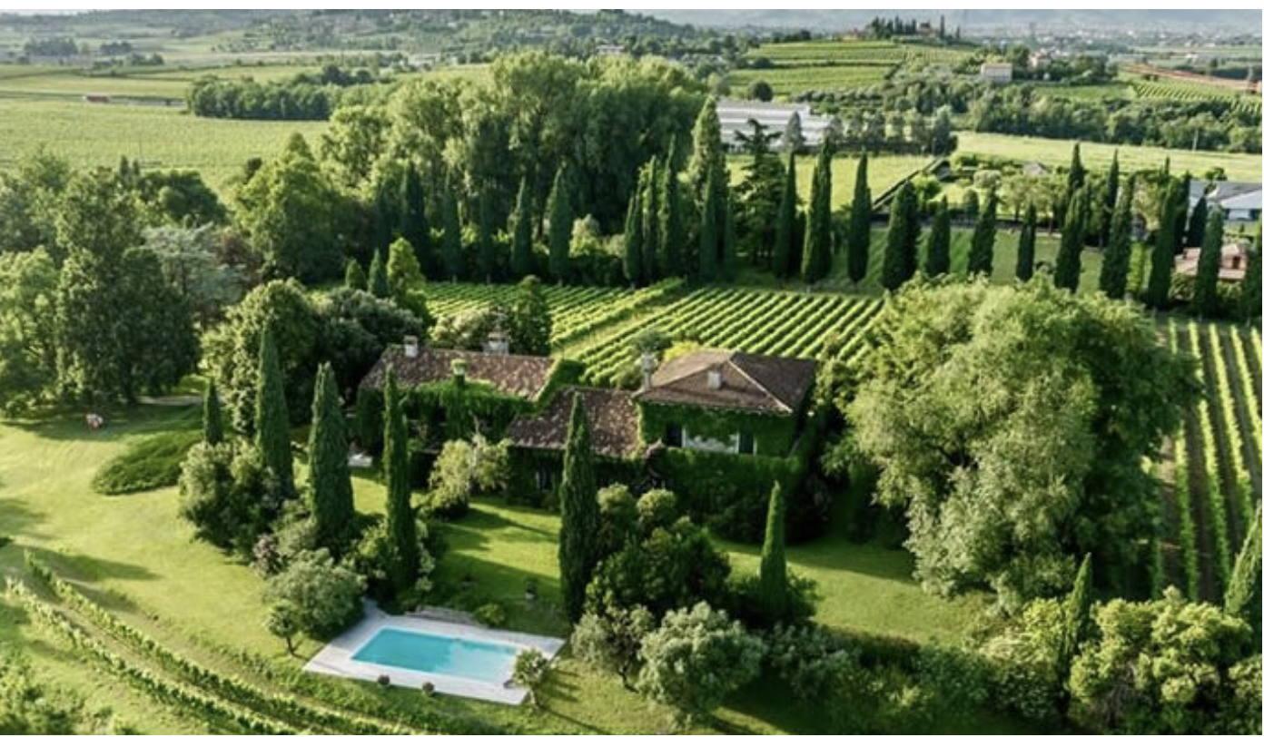 Ashley Neuben and Heitham Hassoun's Wedding Website