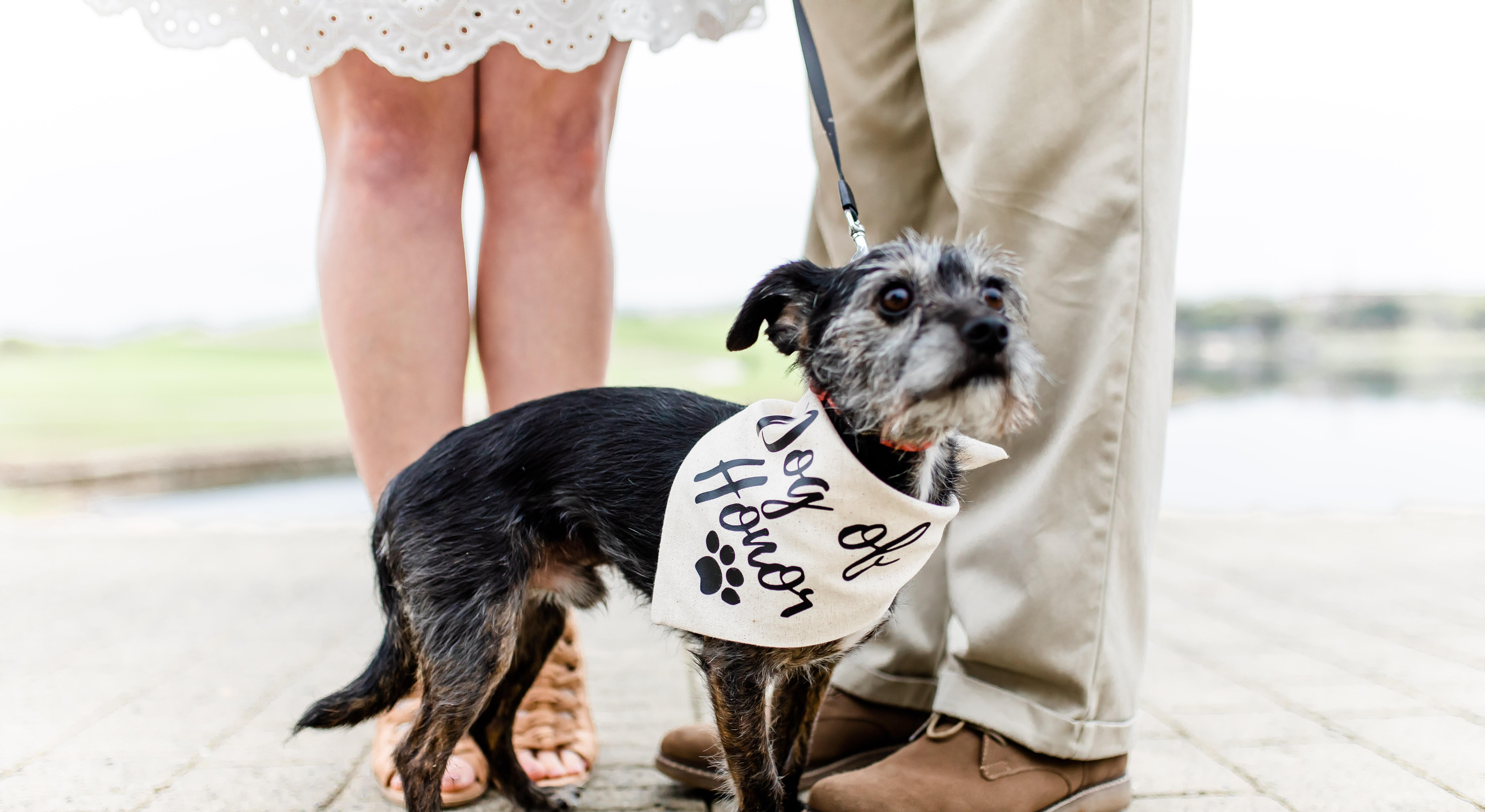 Laura Mitchell and Alex Keefer's Wedding Website