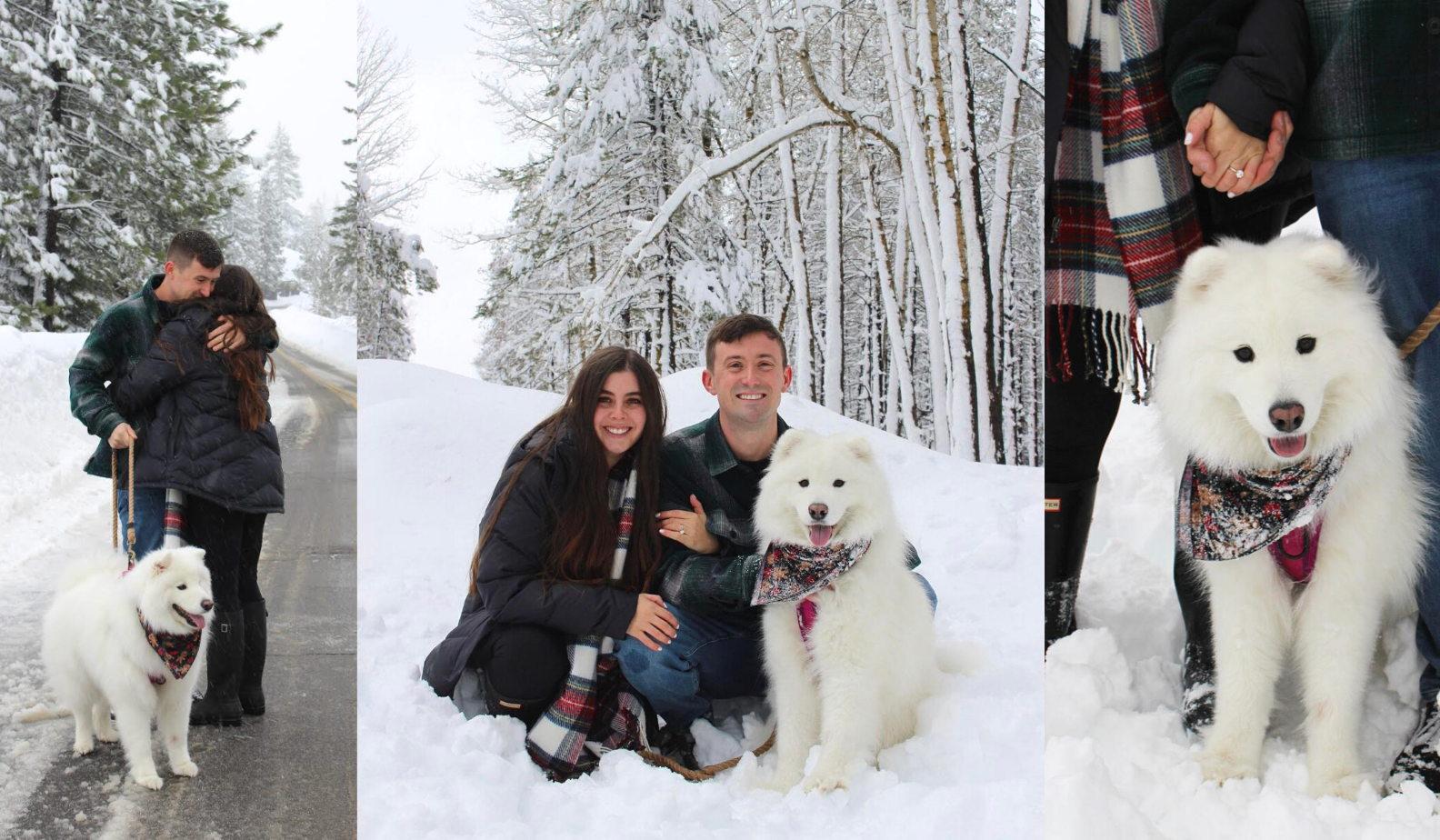 Jordan Heald and Chris Barkley's Wedding Website