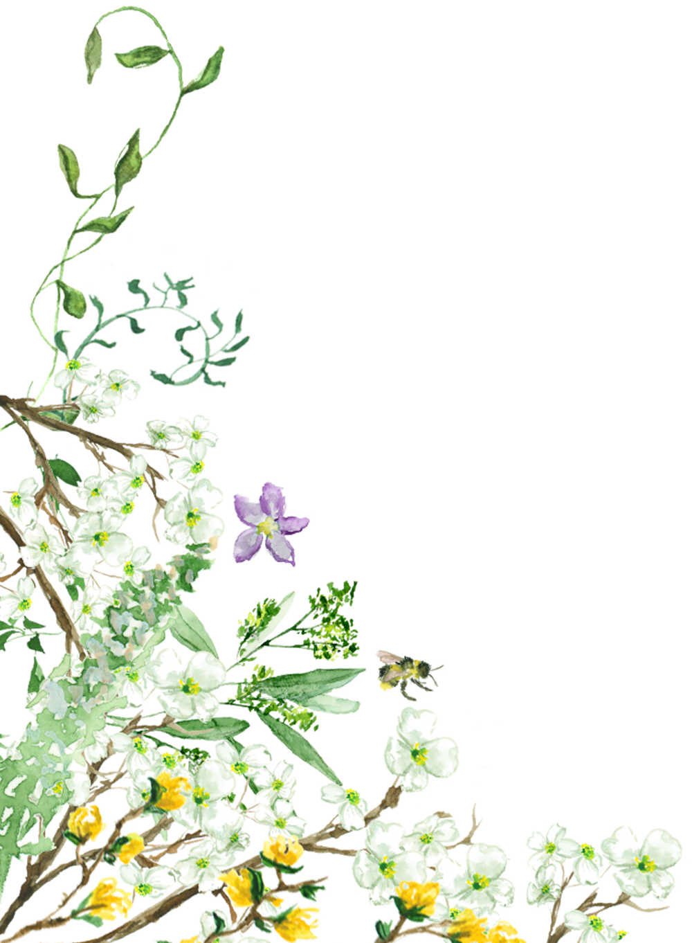 Matt Evans and Meredith Fischer's Wedding Website