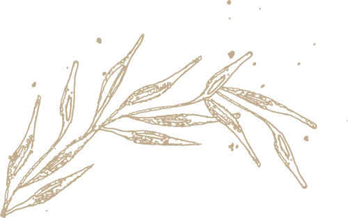 Sarah Eadon and Derek Beavers' Wedding Website