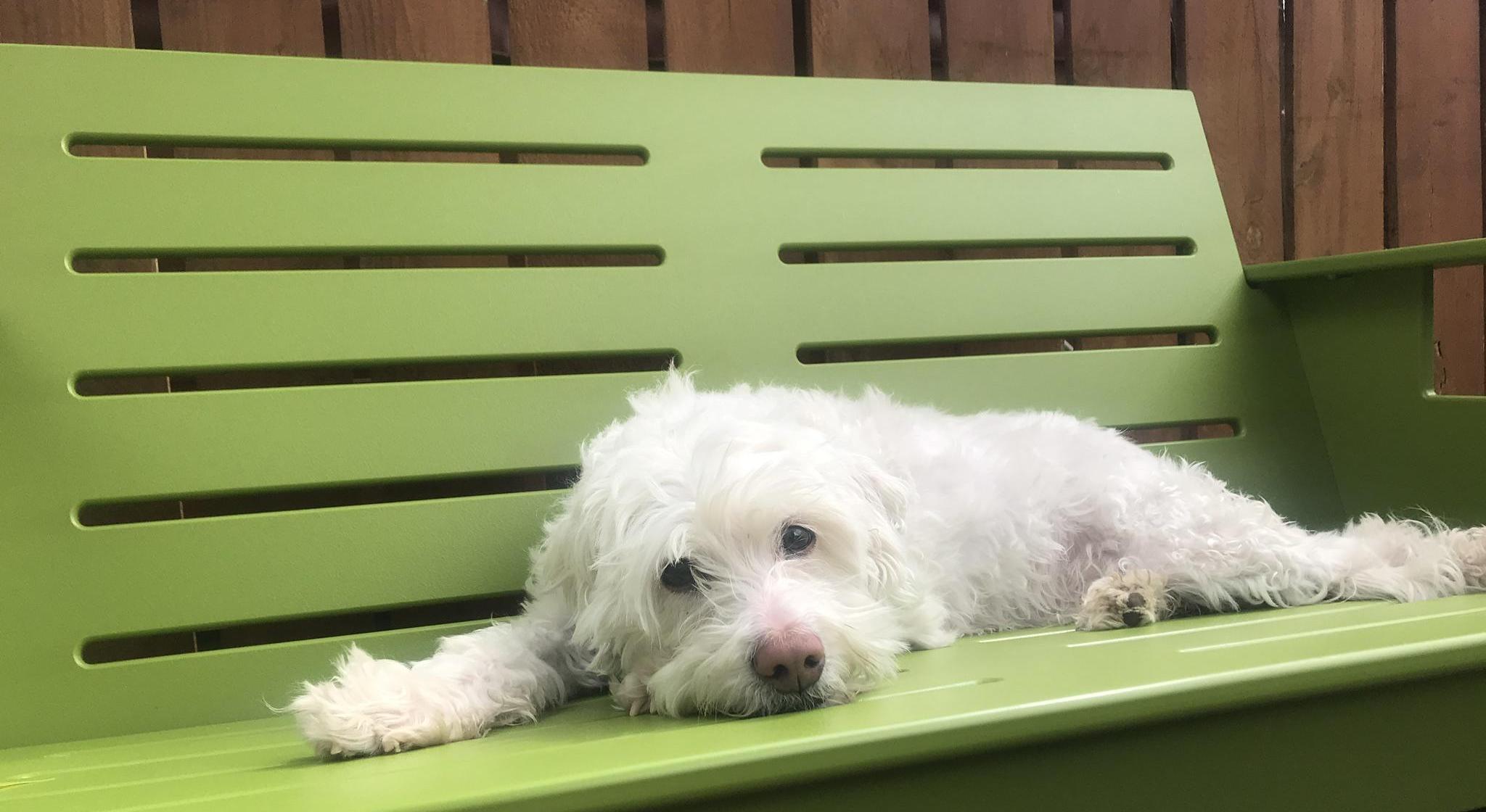 Candace Barnes and Jenny Finlay's Wedding Website