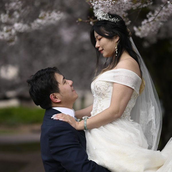 Zhiying Sabrina Xie and YangYang Liu's Wedding Website