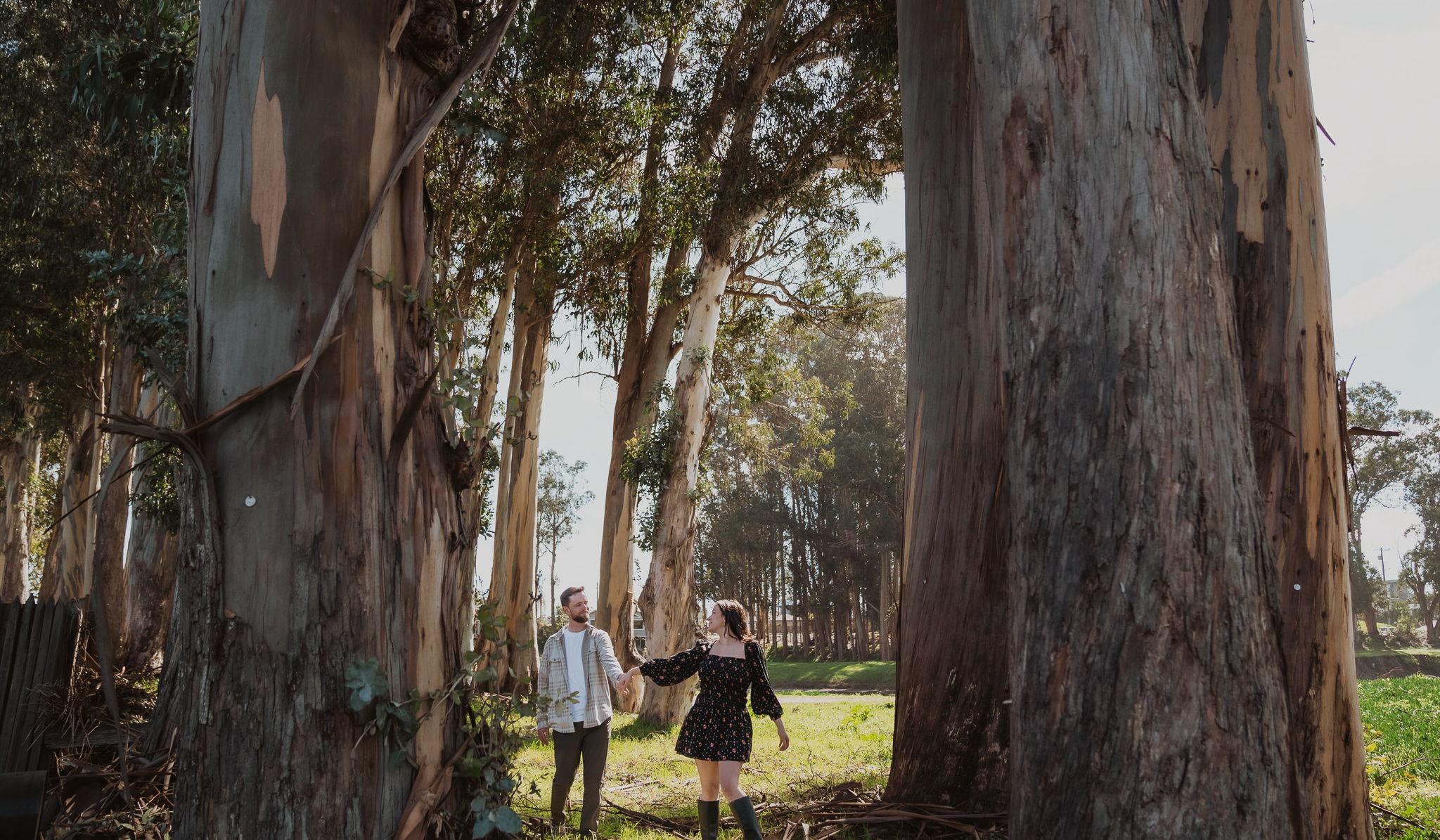 Tyler McCurdy and Natalie Centeno's Wedding Website