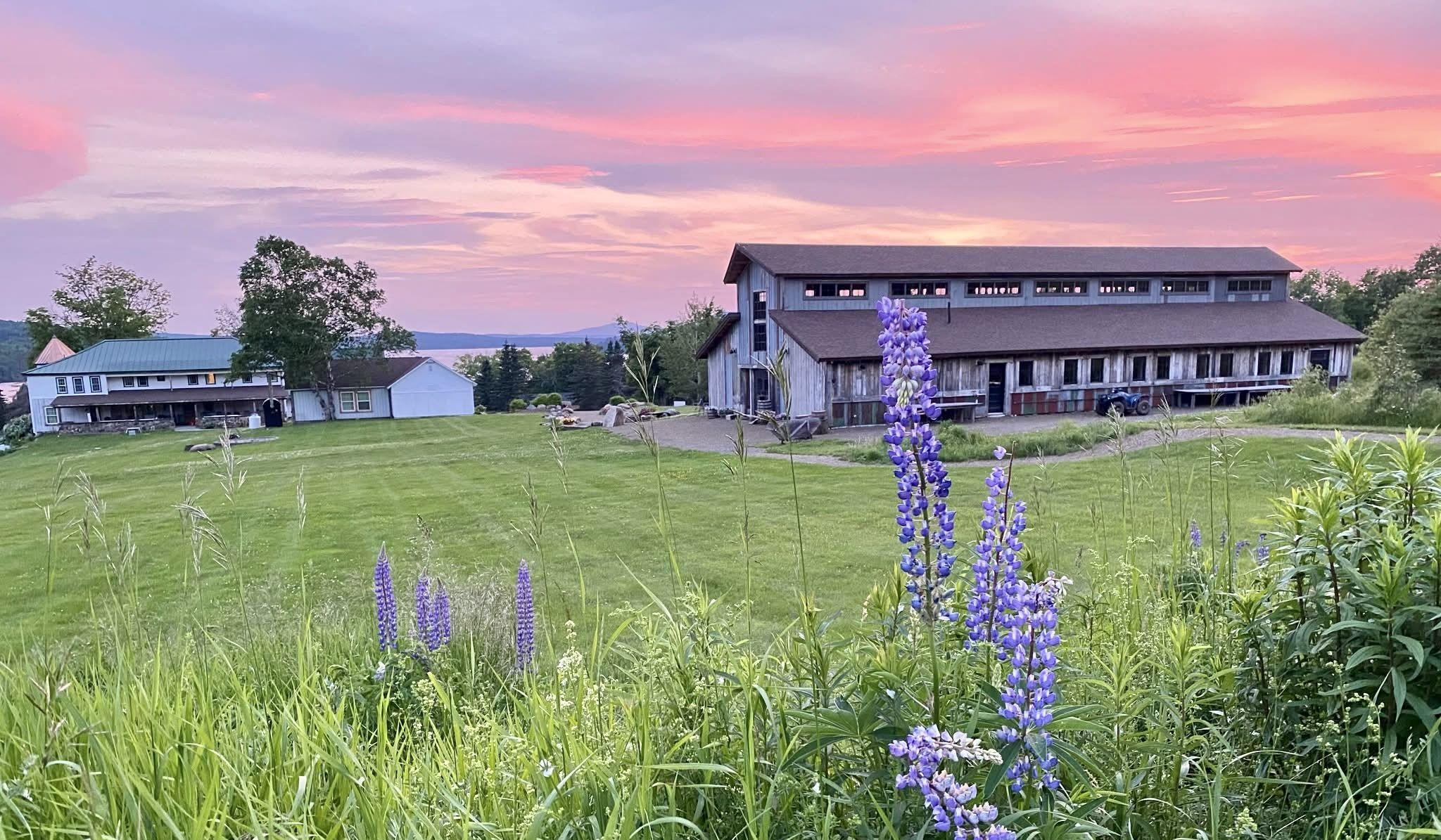 Deanna Ronne and Kenny Jacobson's Wedding Website