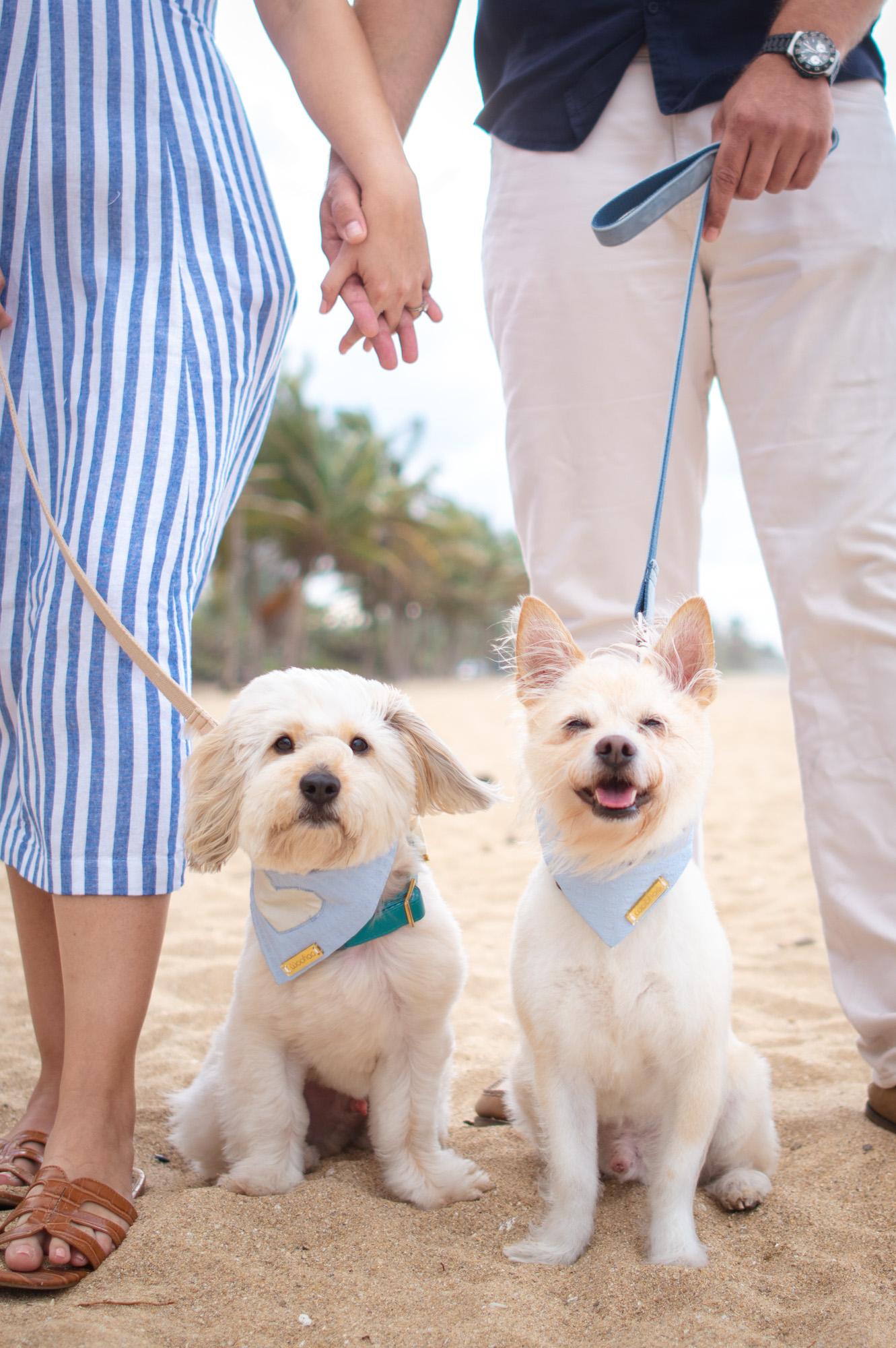 Ana Sofía Raffucci and Ignacio Prats' Wedding Website