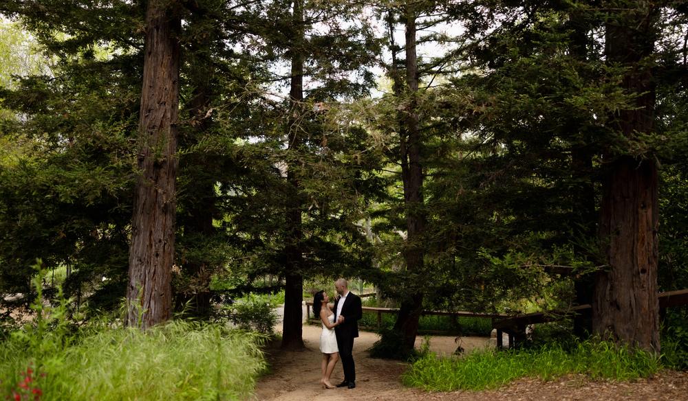 Nikki Alfonso and Elliott Brack's Wedding Website