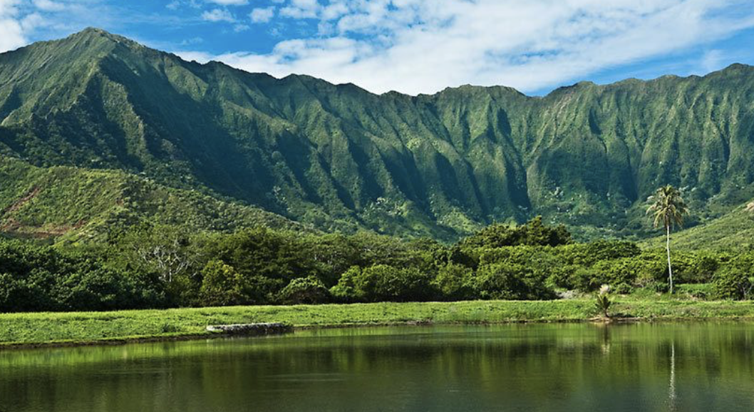 Christopher Krill and Graciela Trujillo-Ortega's Wedding Website