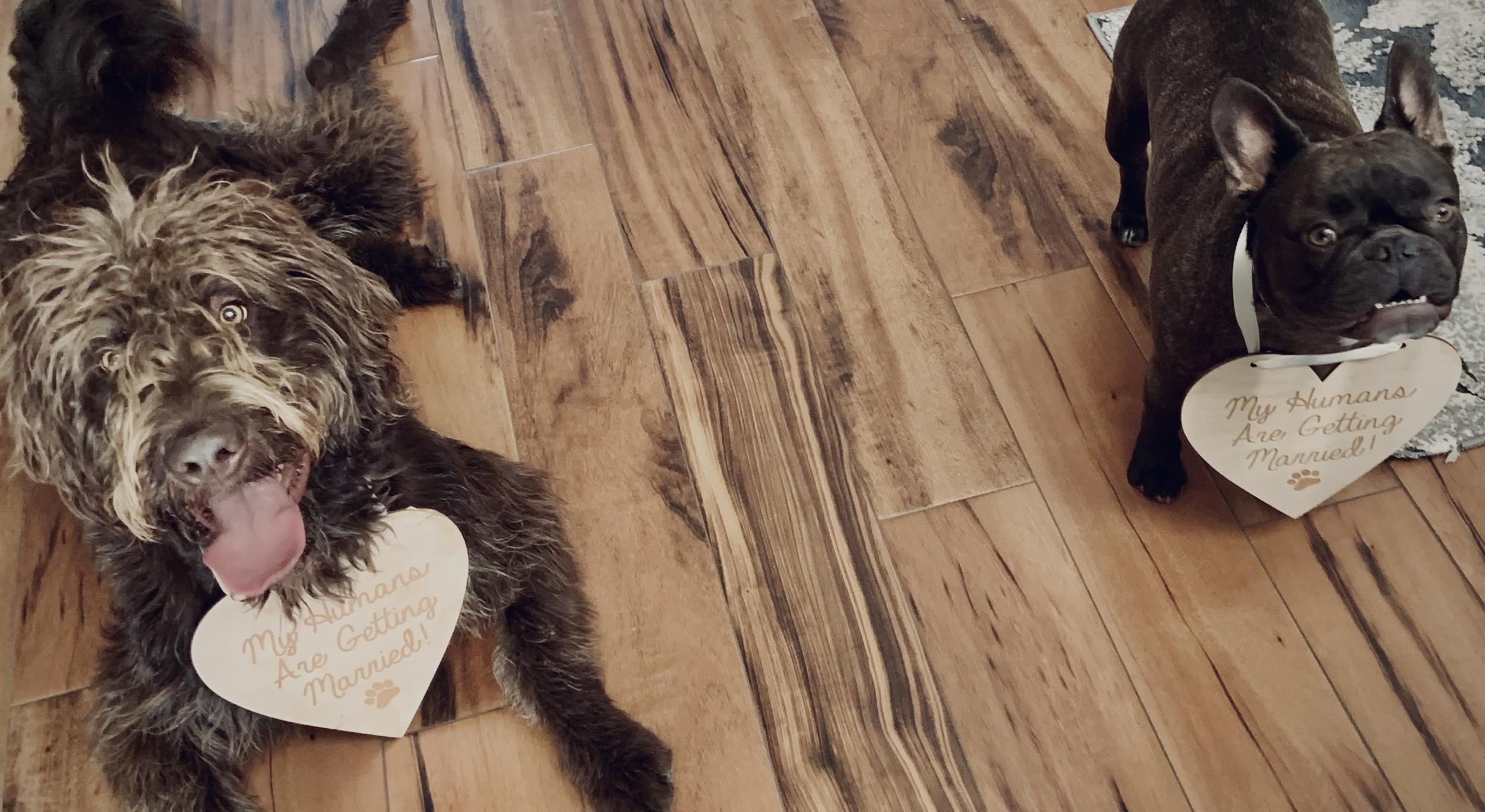 Lori Newquist and David Baldwin's Wedding Website