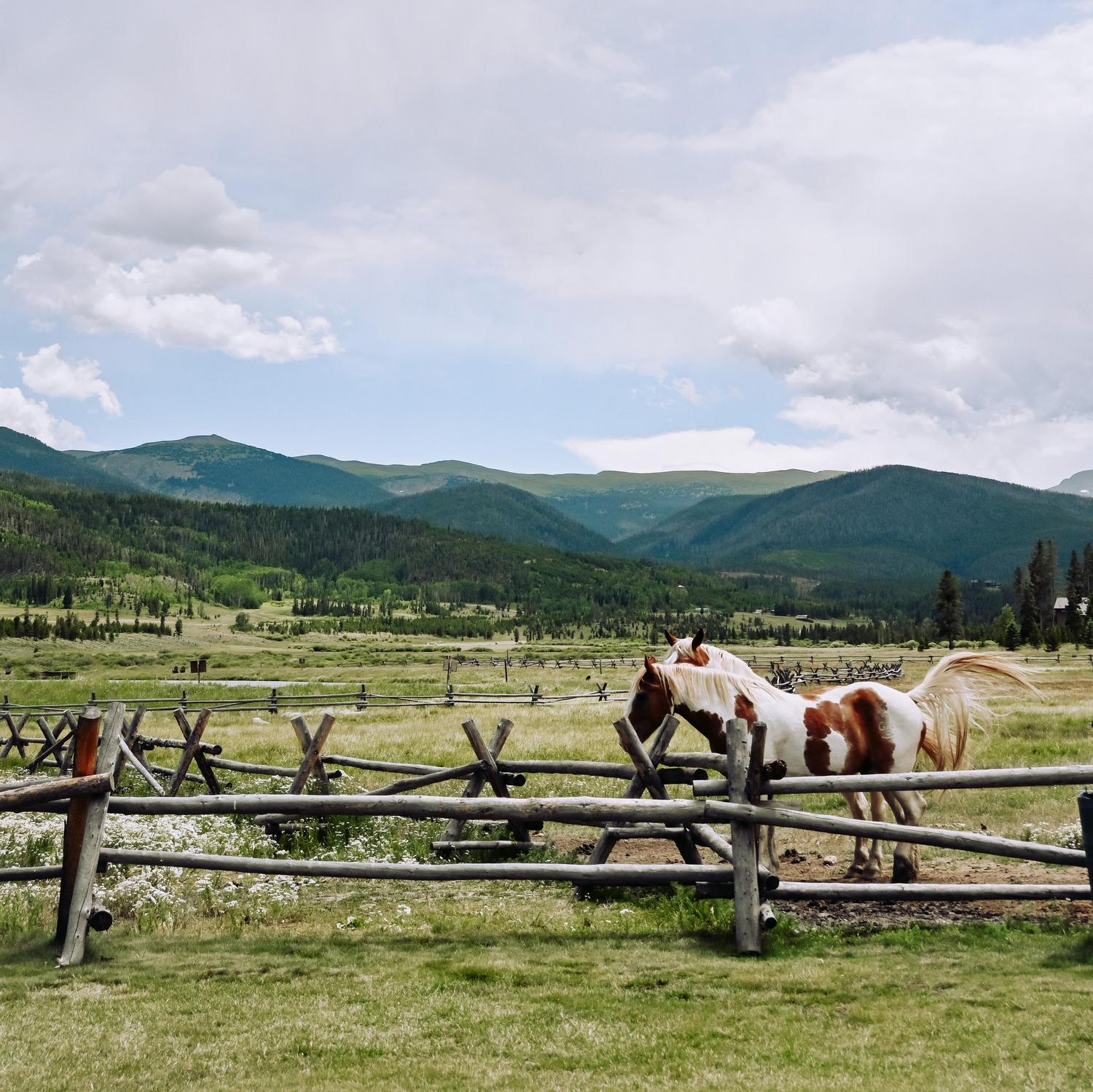 Camryn Dyke and Luke Novak's Wedding Website