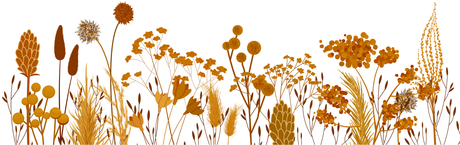 Jocelyn Petersen and Matthew Potash's Wedding Website