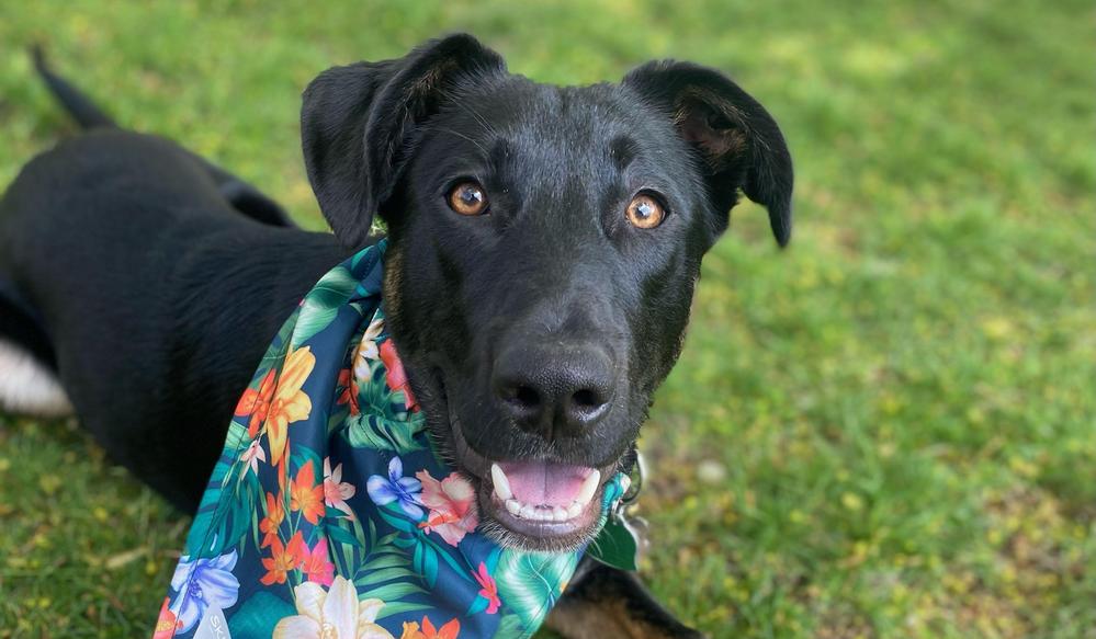 Libby Schwab and Hayden Smith's Wedding Website