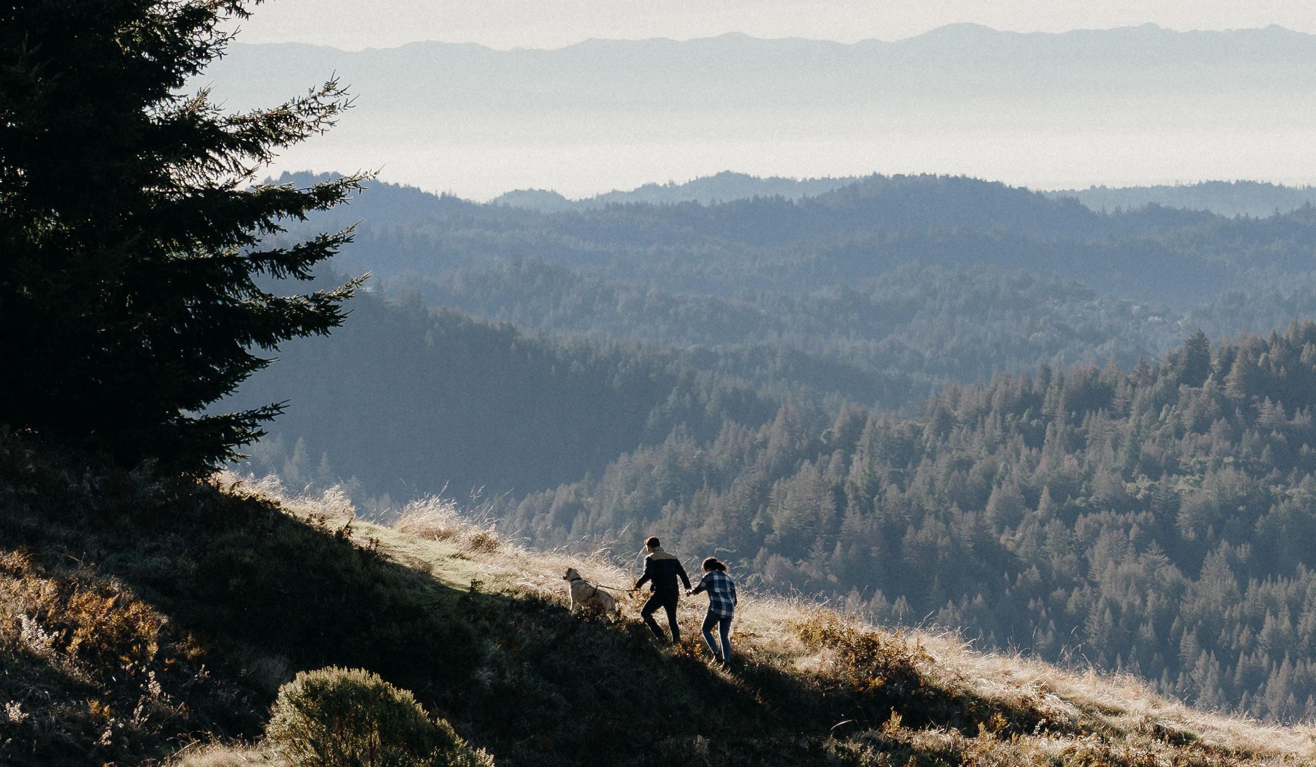 Amel Ali and Brian McGuire's Wedding Website