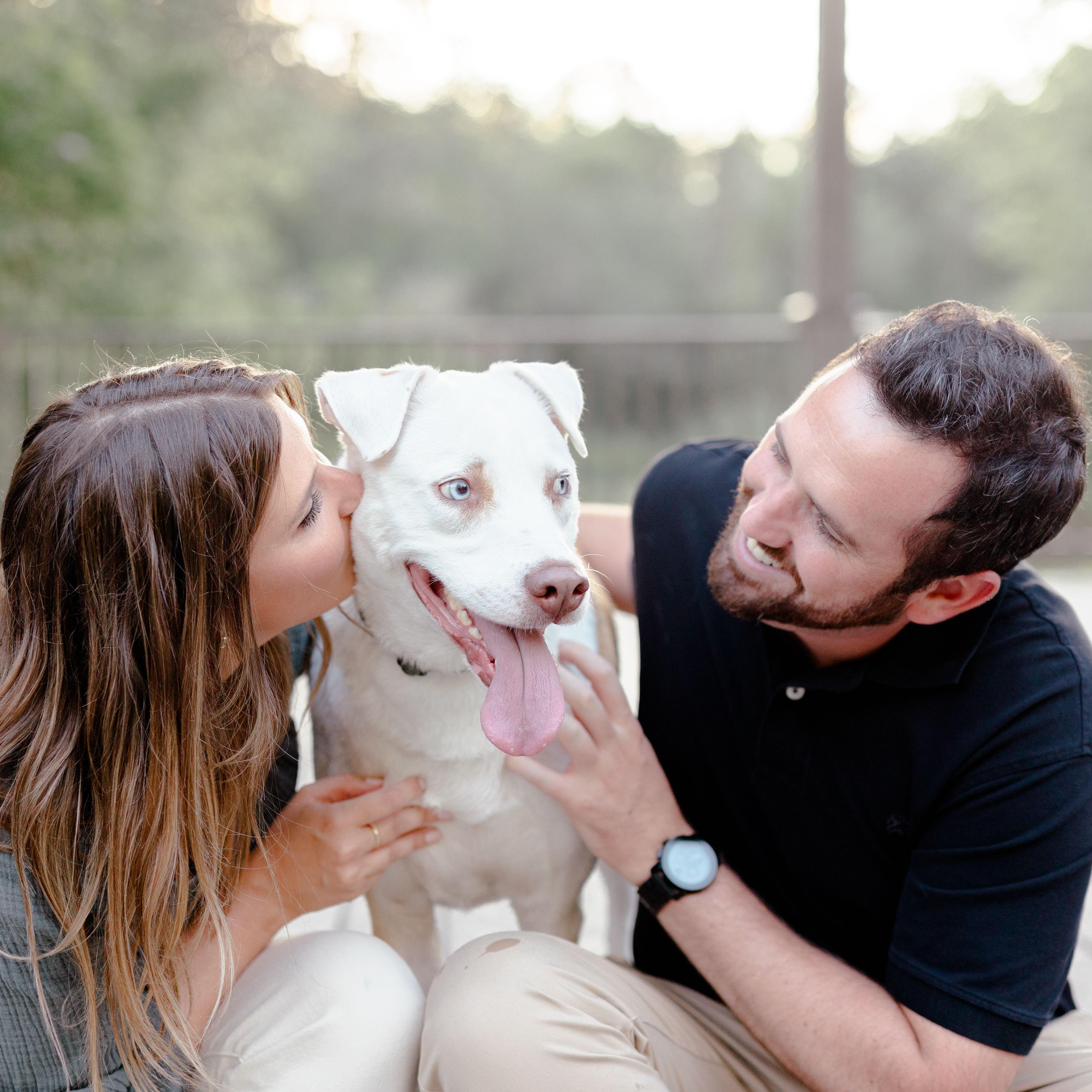 Pamela Snodgrass and Joseph DeStefano's Wedding Website