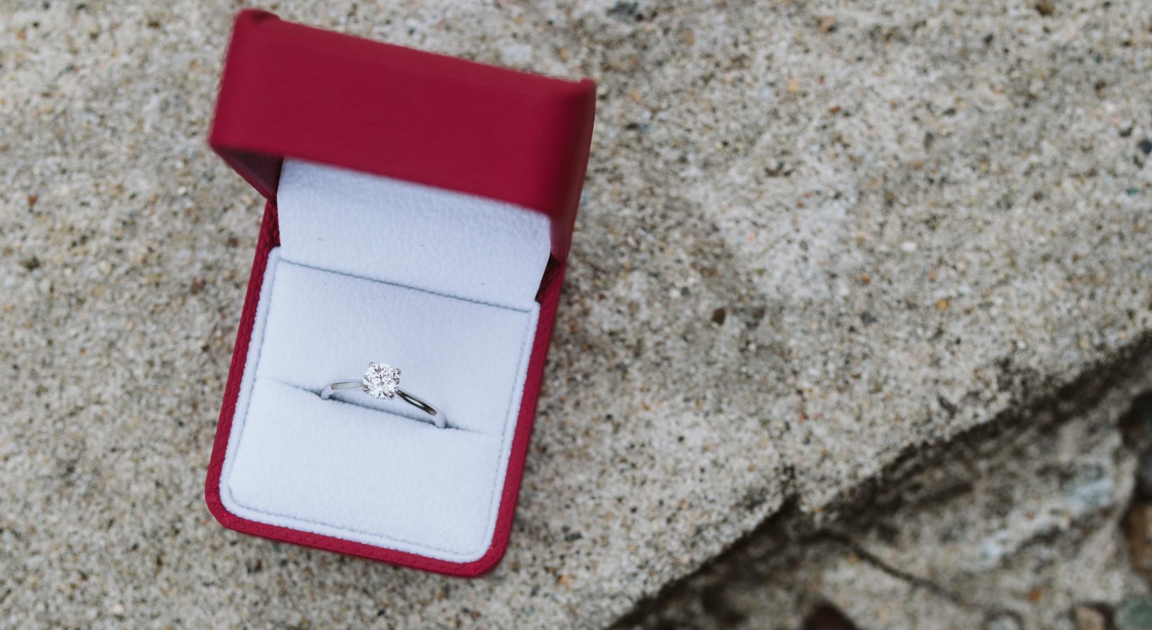 Molly Ogren and Andrew Moran's Wedding Website