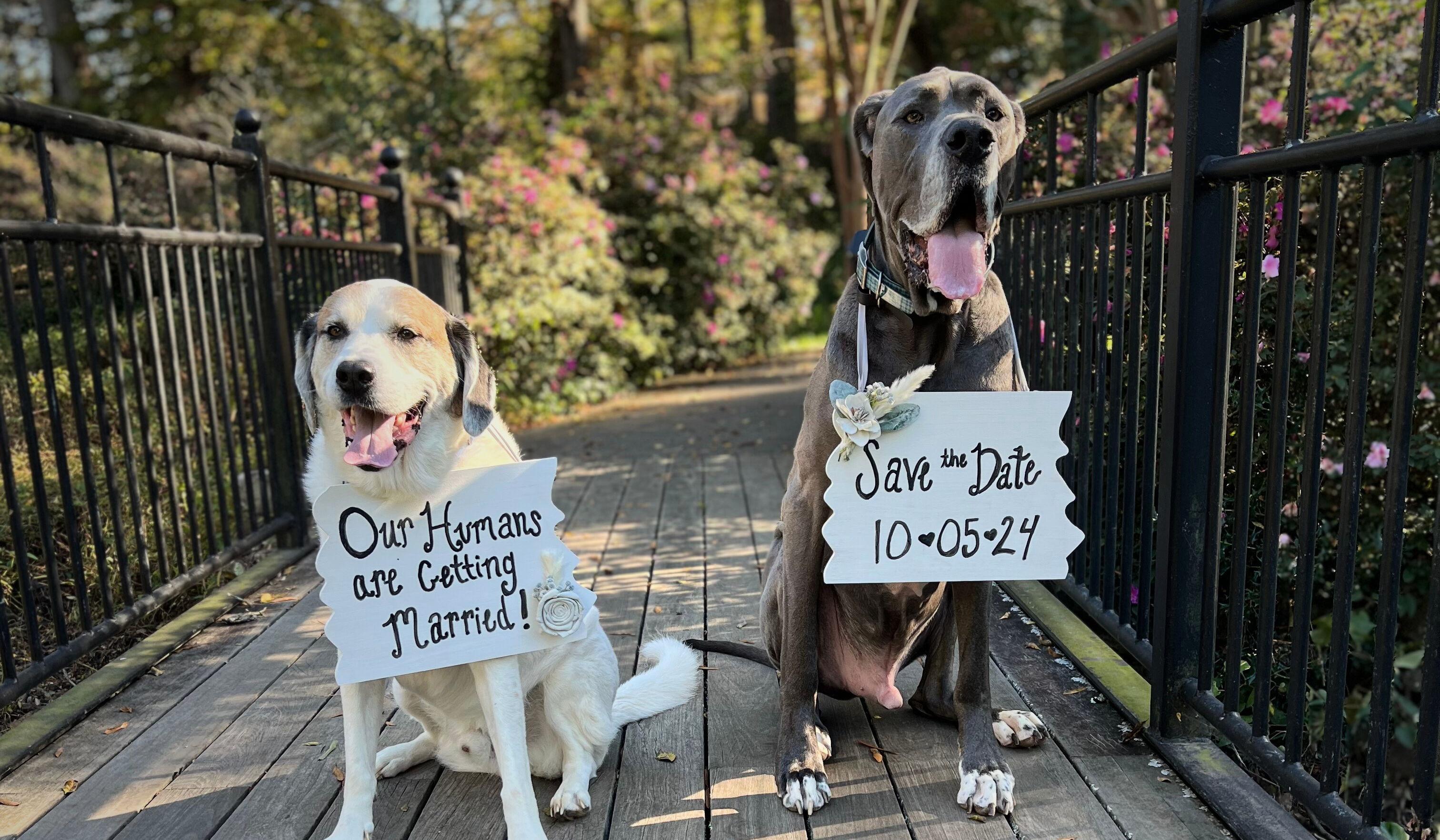 Paige Hardy and Gage Geminn's Wedding Website
