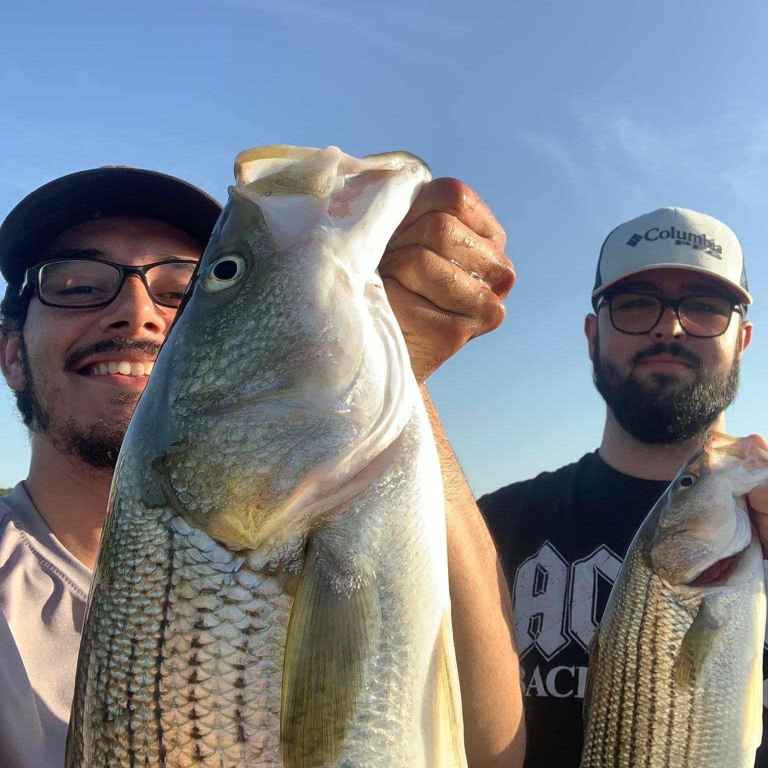 Hunter James Miller and Sydney Rae Flippo's Wedding Website