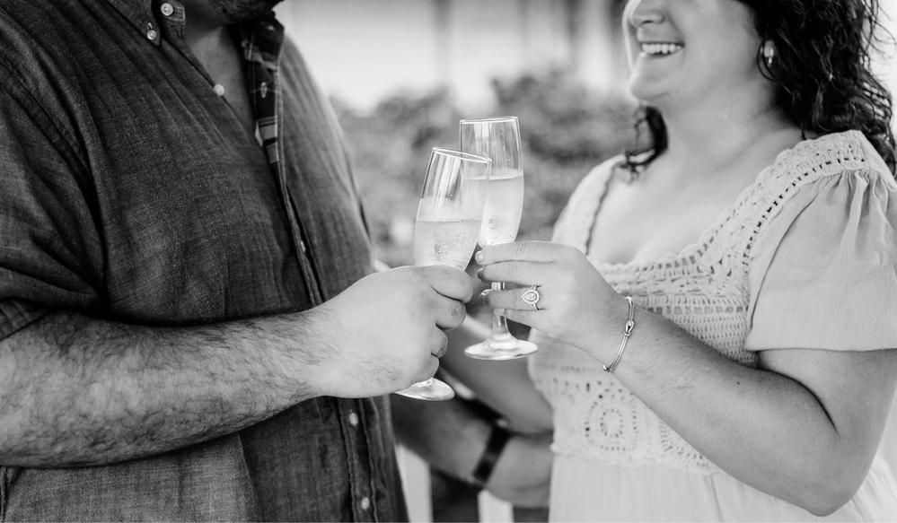 Ariel Ladner and Devin Gerstein's Wedding Website