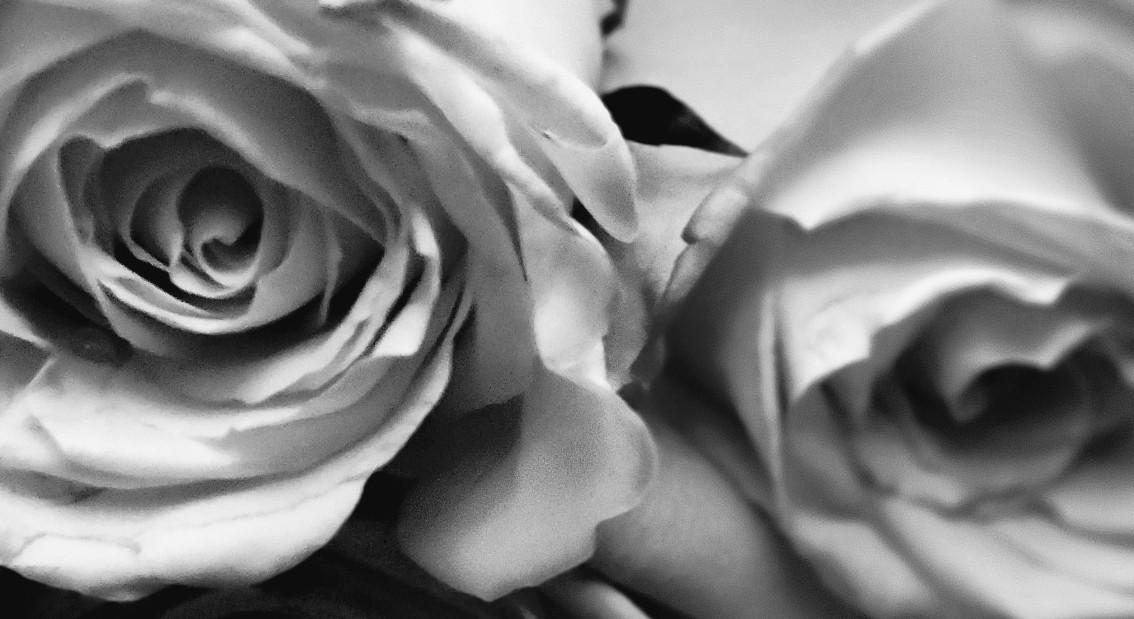 Nikki storey and Andrew Helton's Wedding Website