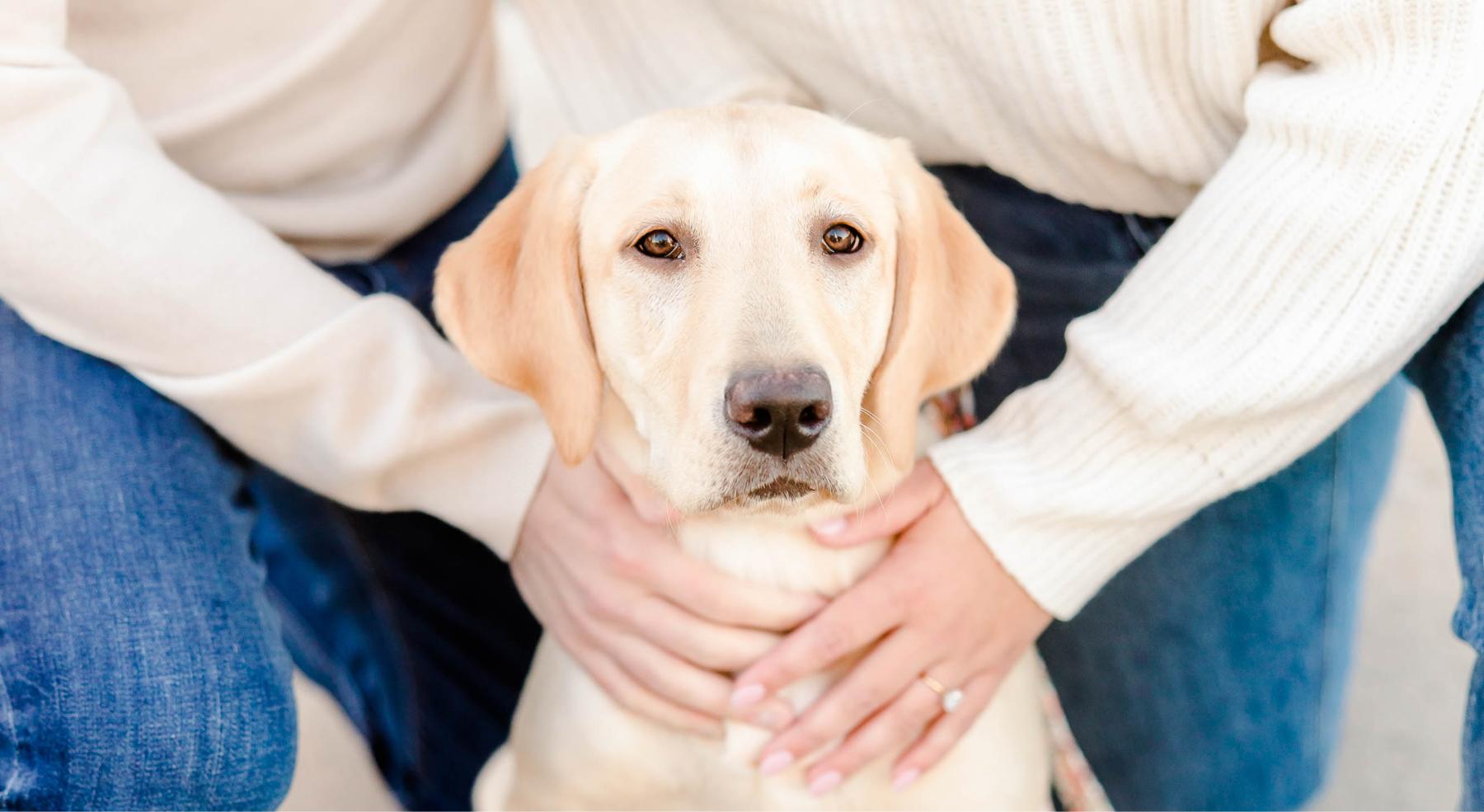 Allyssa Mroczek and Matthew Iorio's Wedding Website