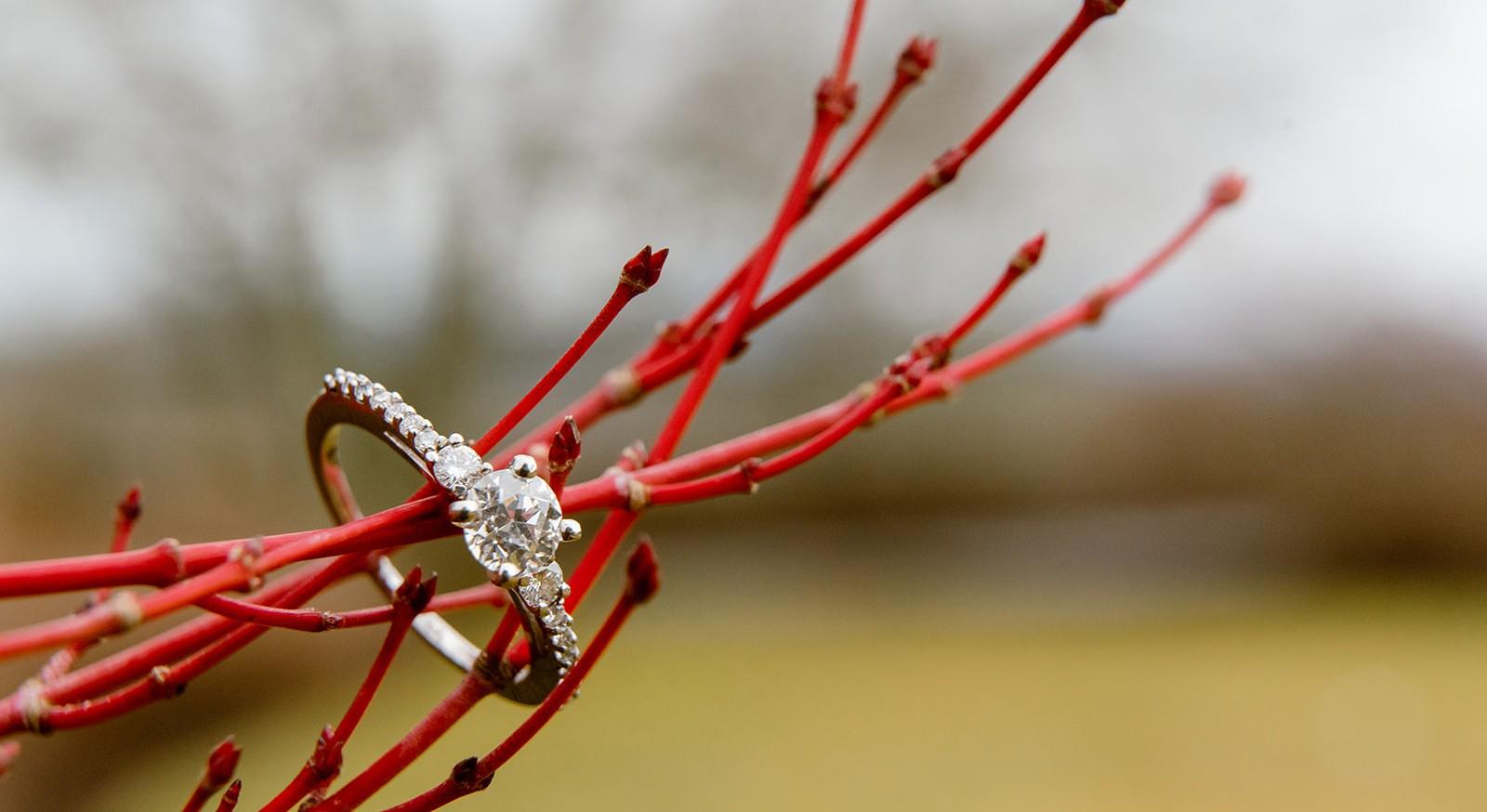 Jessica Finkel and Michael Marder's Wedding Website