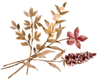 Sydney Macaruso and David Turchetta's Wedding Website