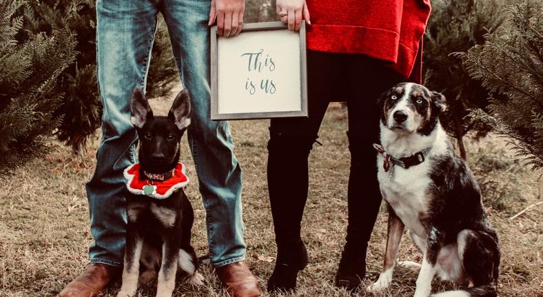 Emily Natale and Matthew Kerlin's Wedding Website