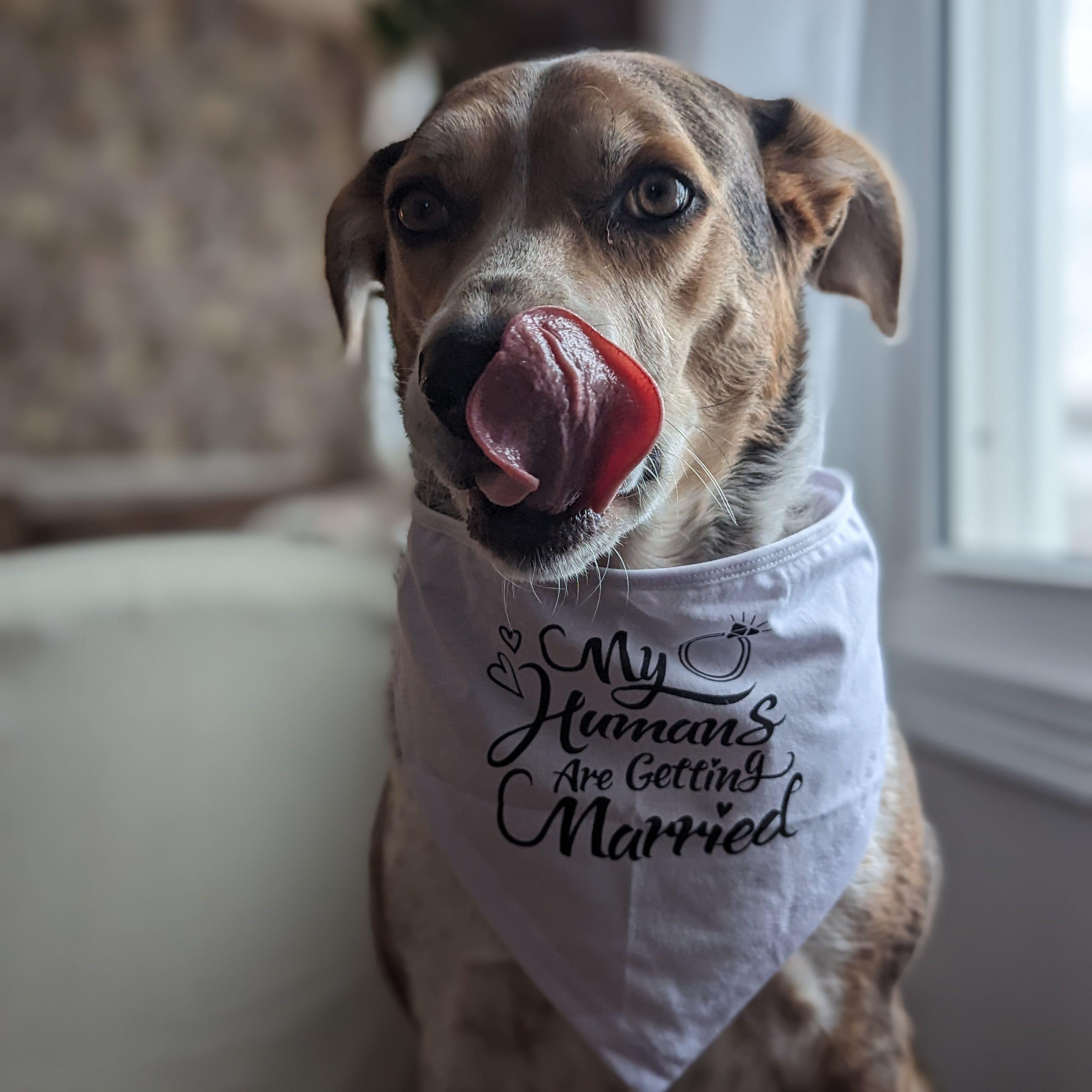 Joseph Long and Mary Long's Wedding Website