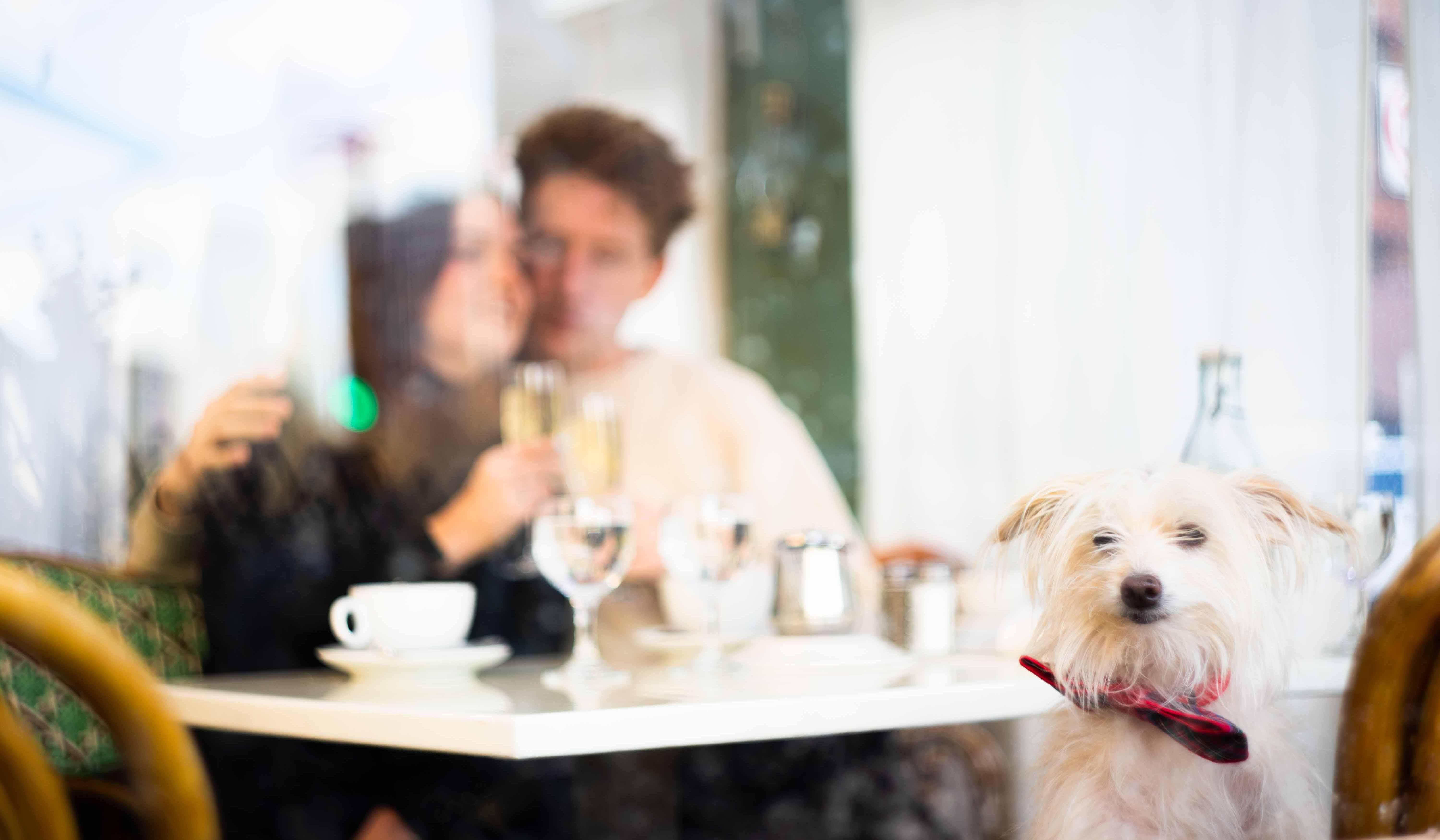 Caitlin Davis and Christopher Raddatz's Wedding Website