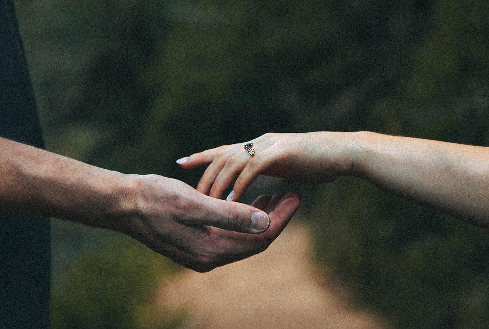 Danielle Nelson and Aaron Stotler's Wedding Website