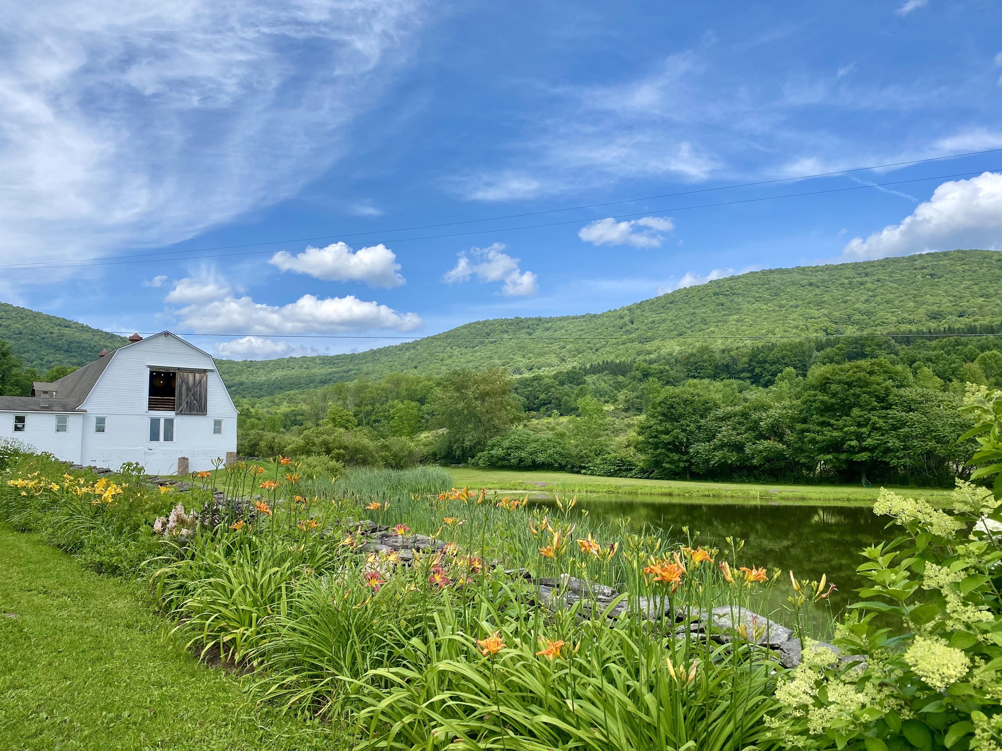 Mara Beier and Ryan Doyle's Wedding Website