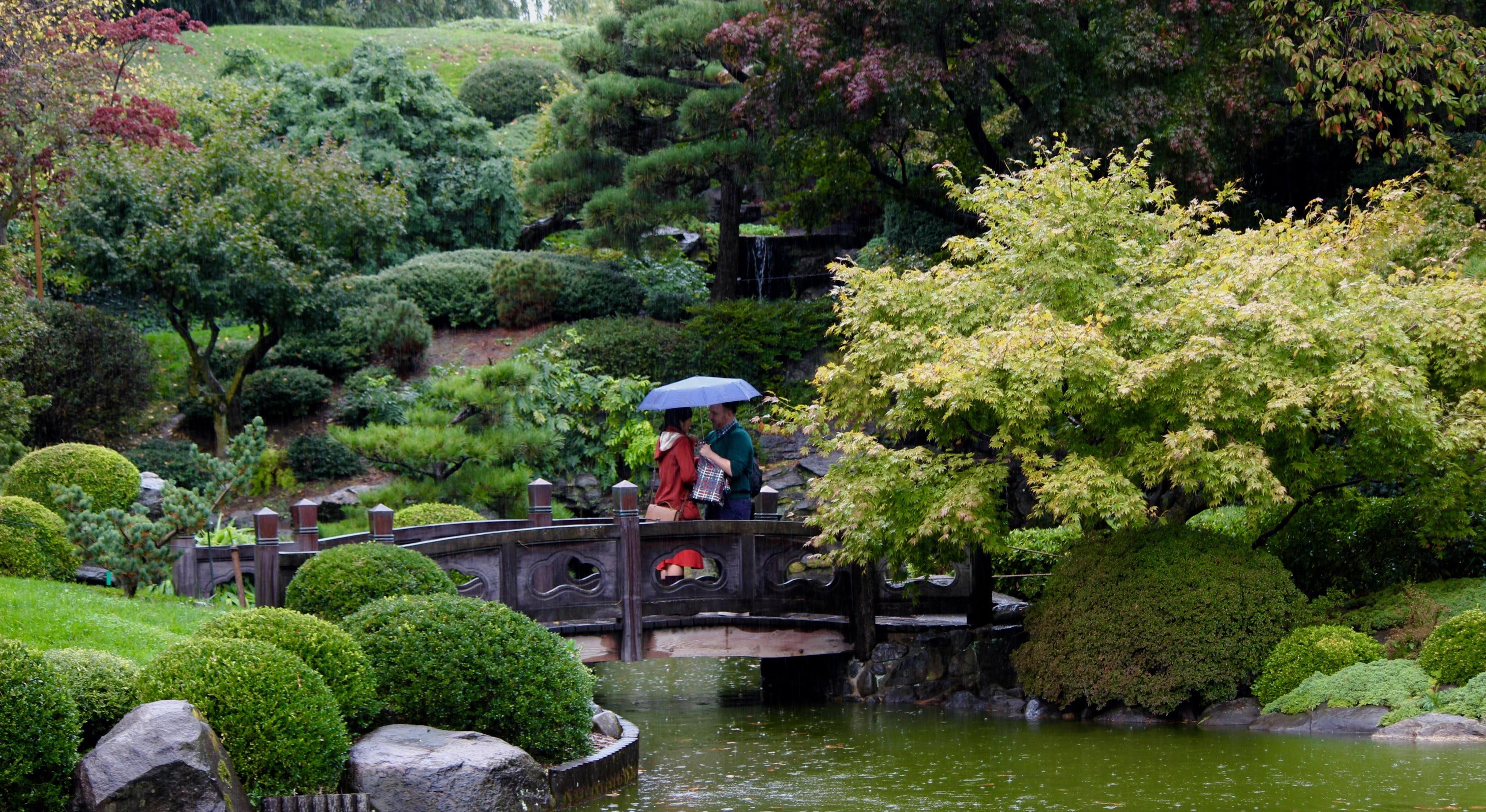 Stacey Choi and Michael Dunn's Wedding Website