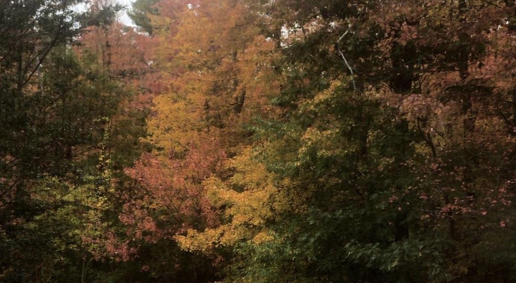 Meghan Jarry and Nicholas Charette's Wedding Website